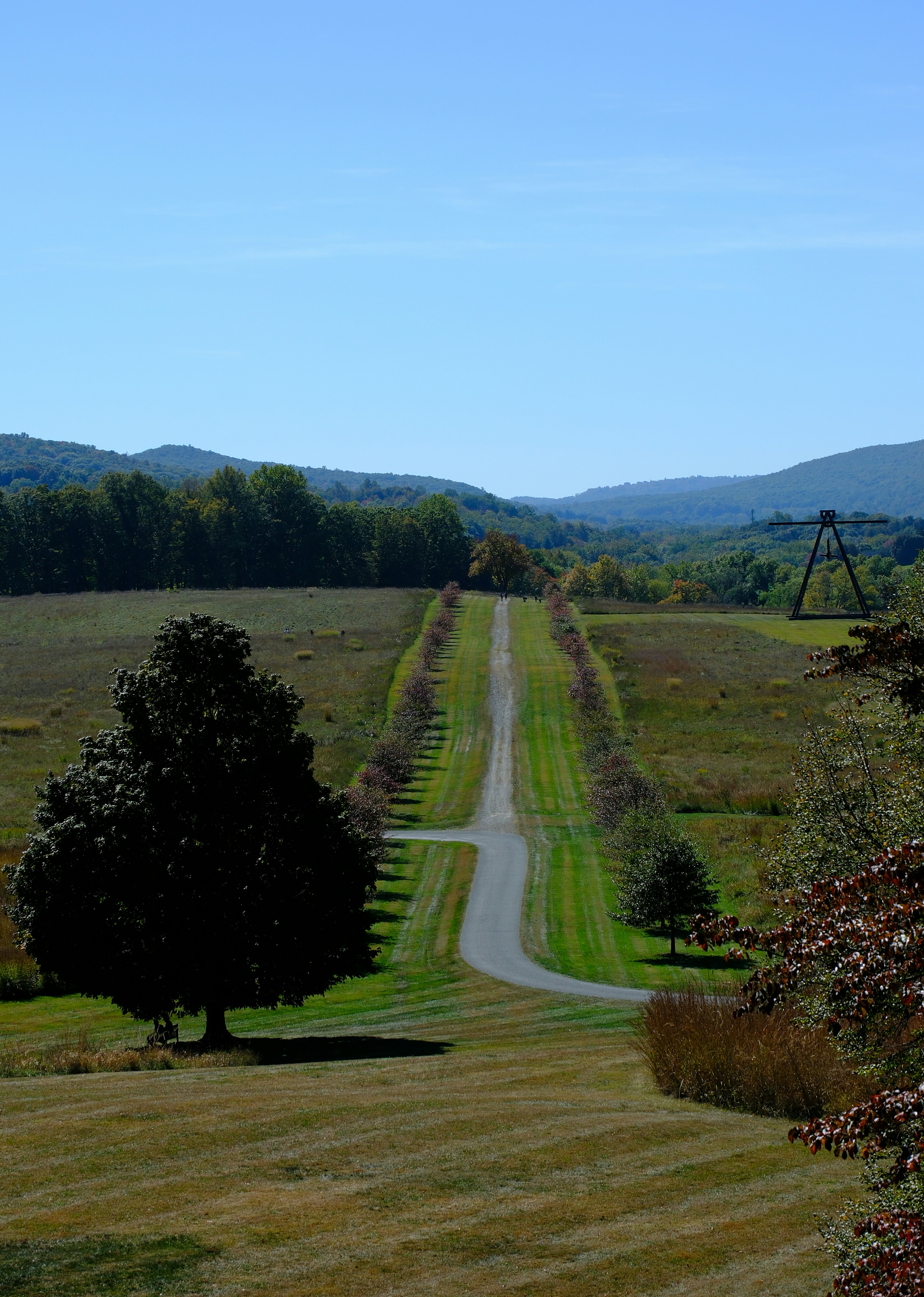 long road on grassland with rows of trees on either side
