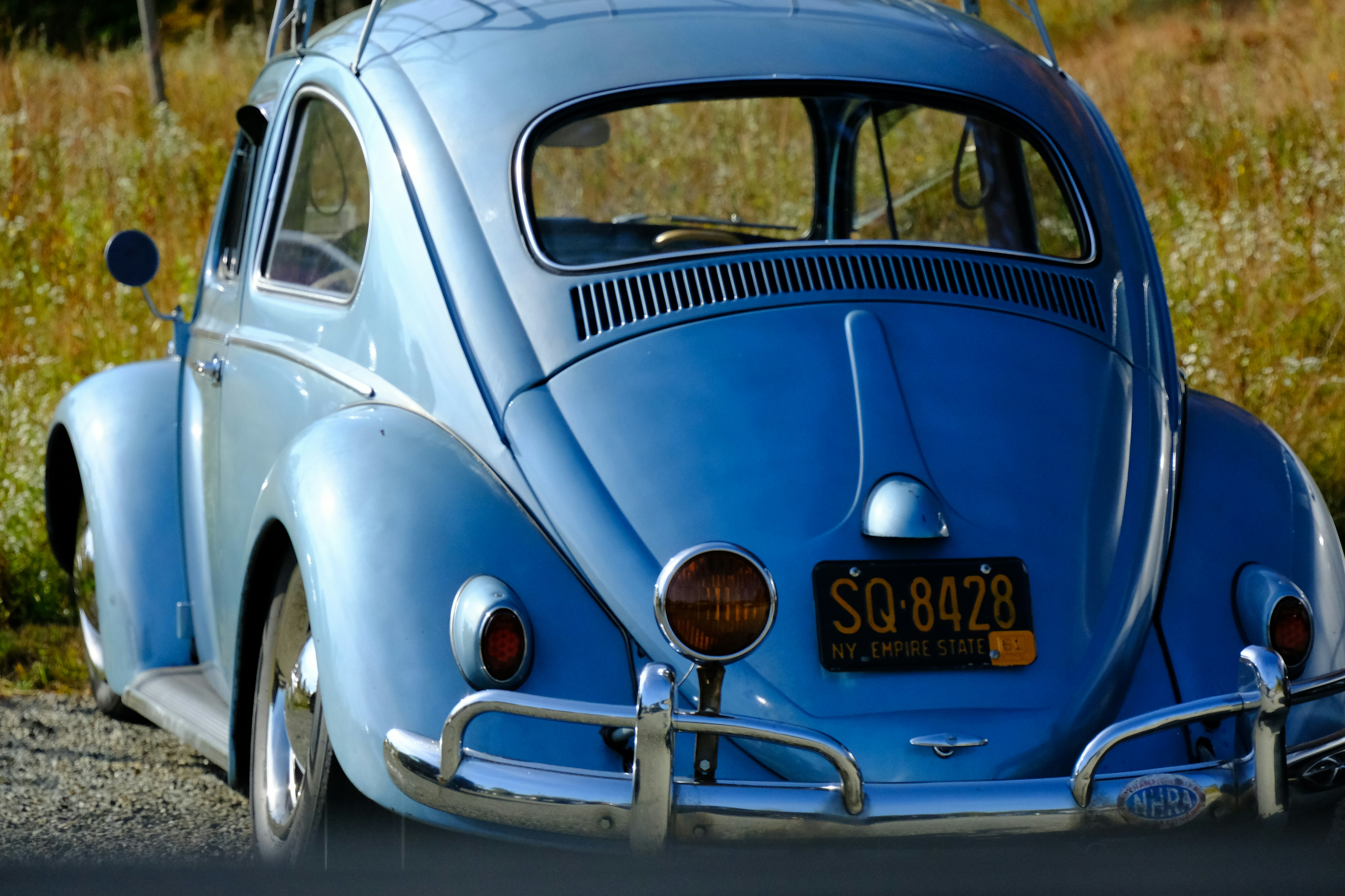 Timeless Charm of a Classic Beetle
