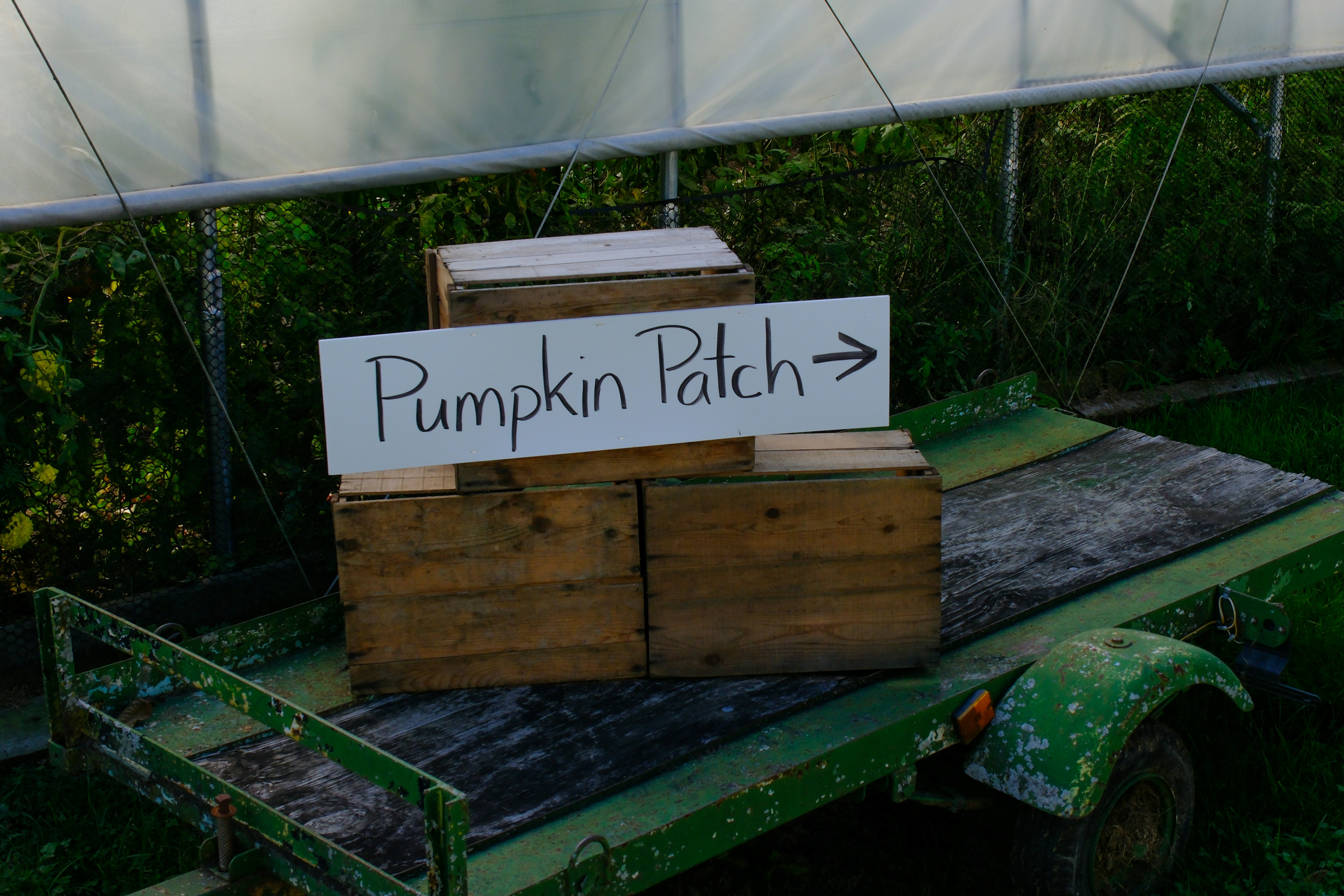 Wooden crates with a directional sign indicating the Pumpkin Patch, set in a green outdoor environment.