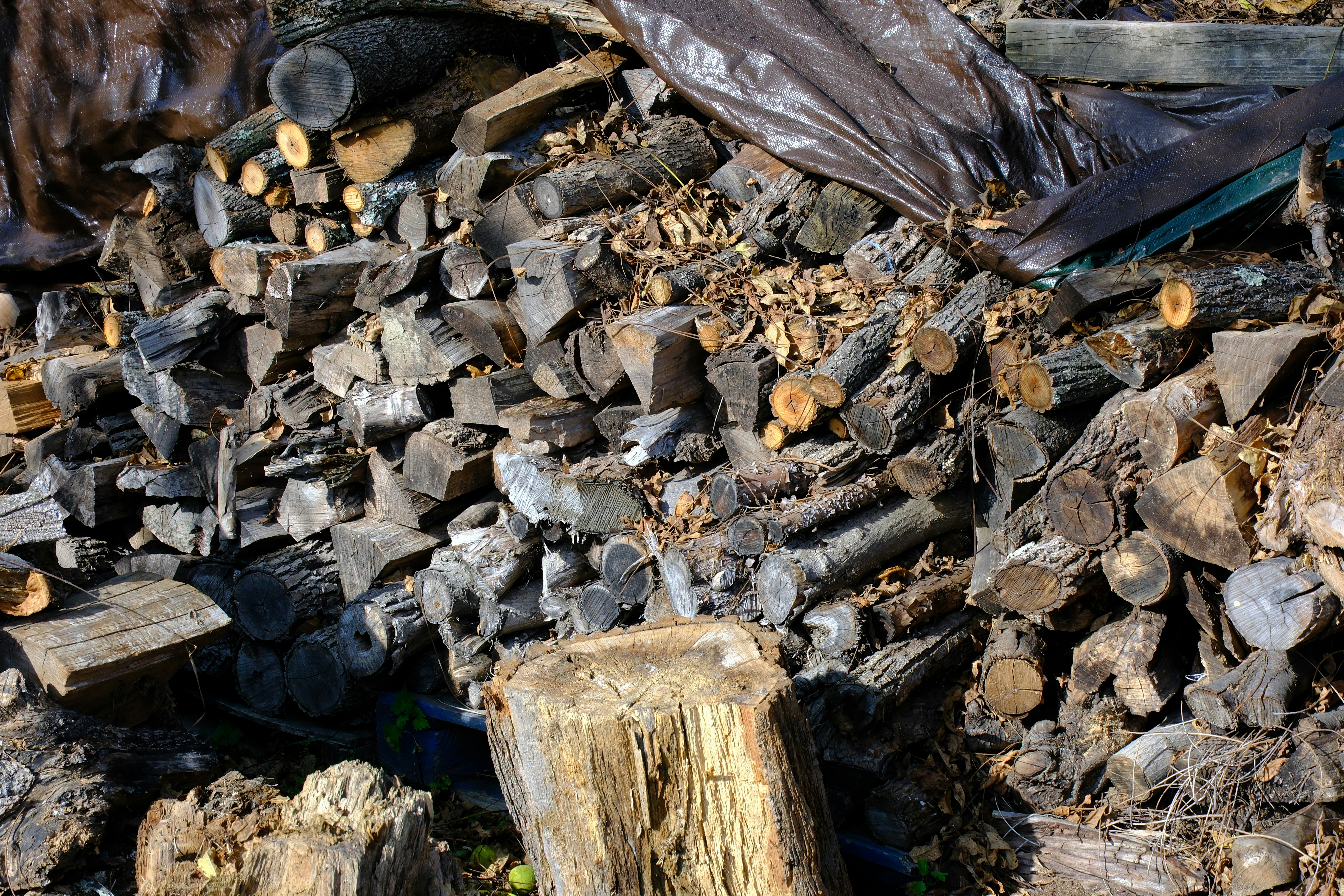 Weathered Woodpile: Sunlit Grain and a Prominent Foreground Log