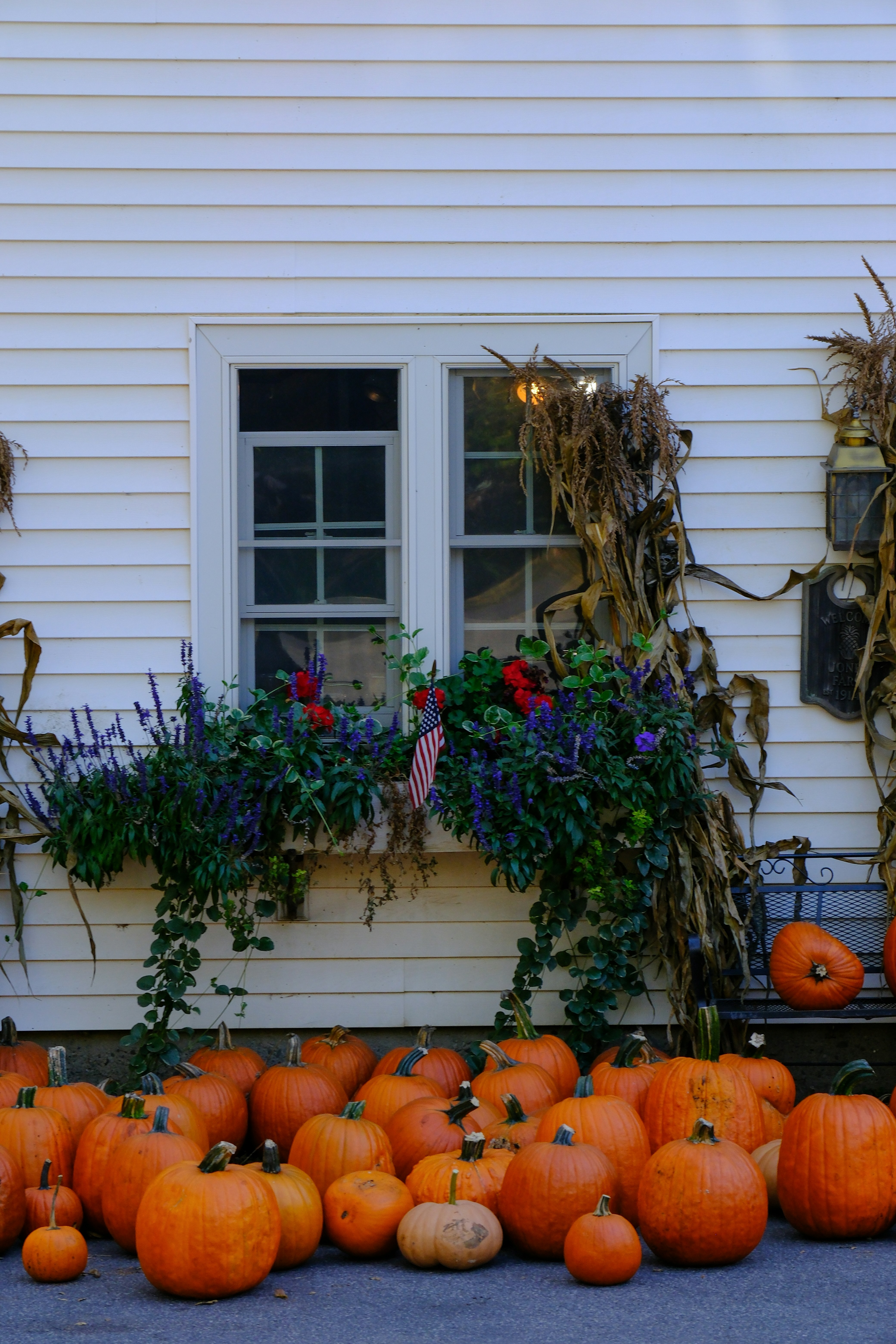 Harvest Harmony: A Celebration of Autumn's Bounty