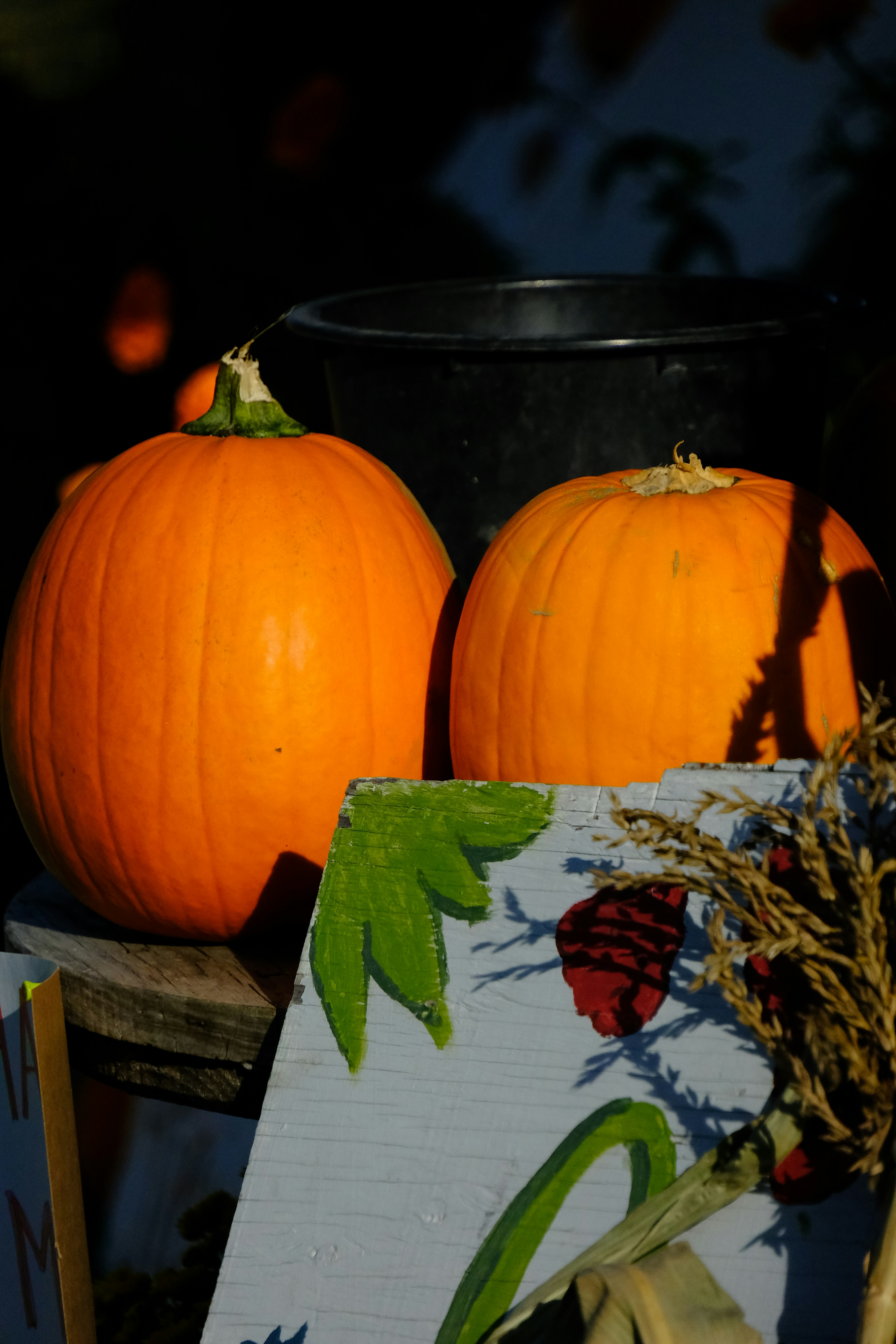 Harvest Harmony: A Seasonal Display