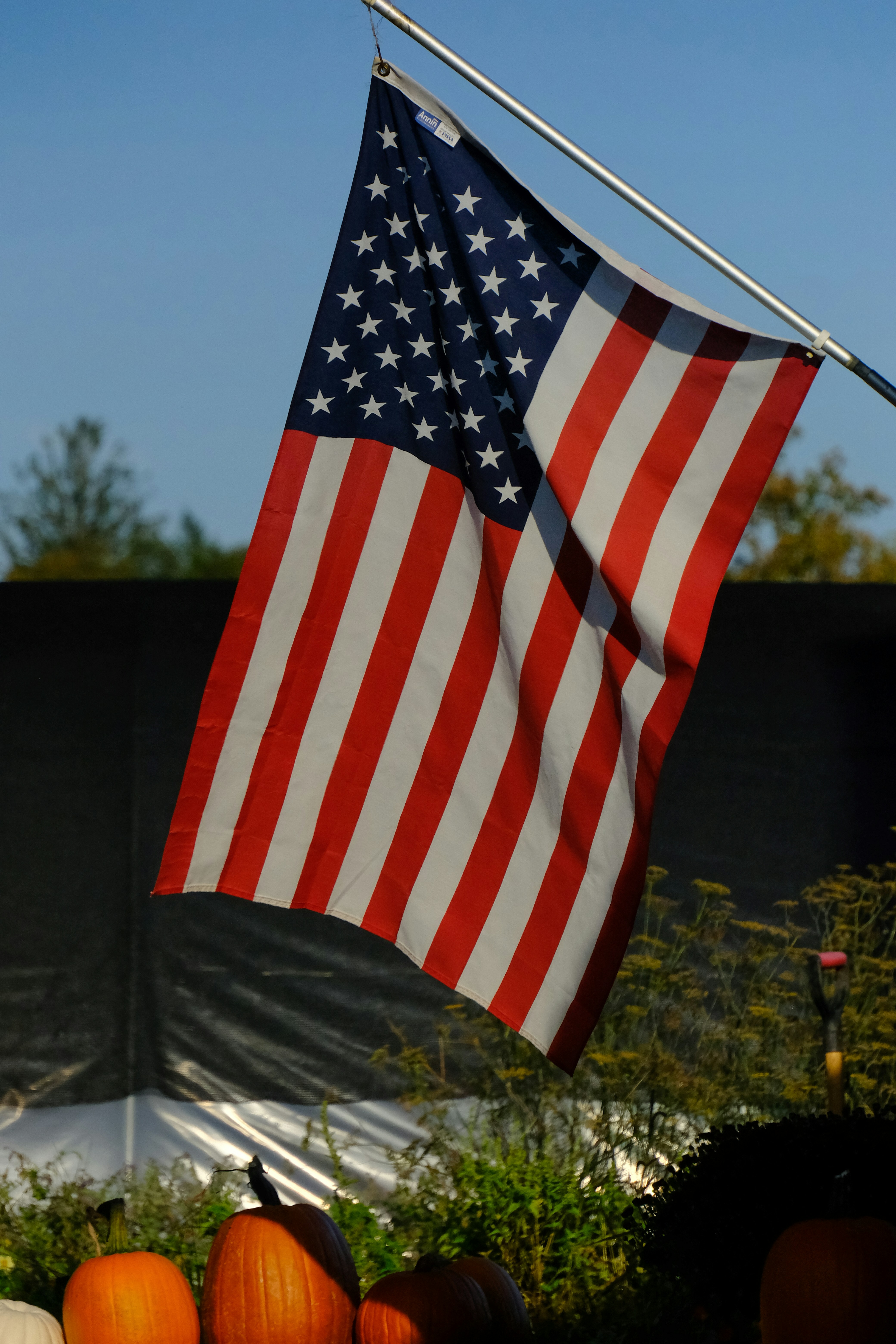 Waving Pride: A Flag's Dance in Autumn Light