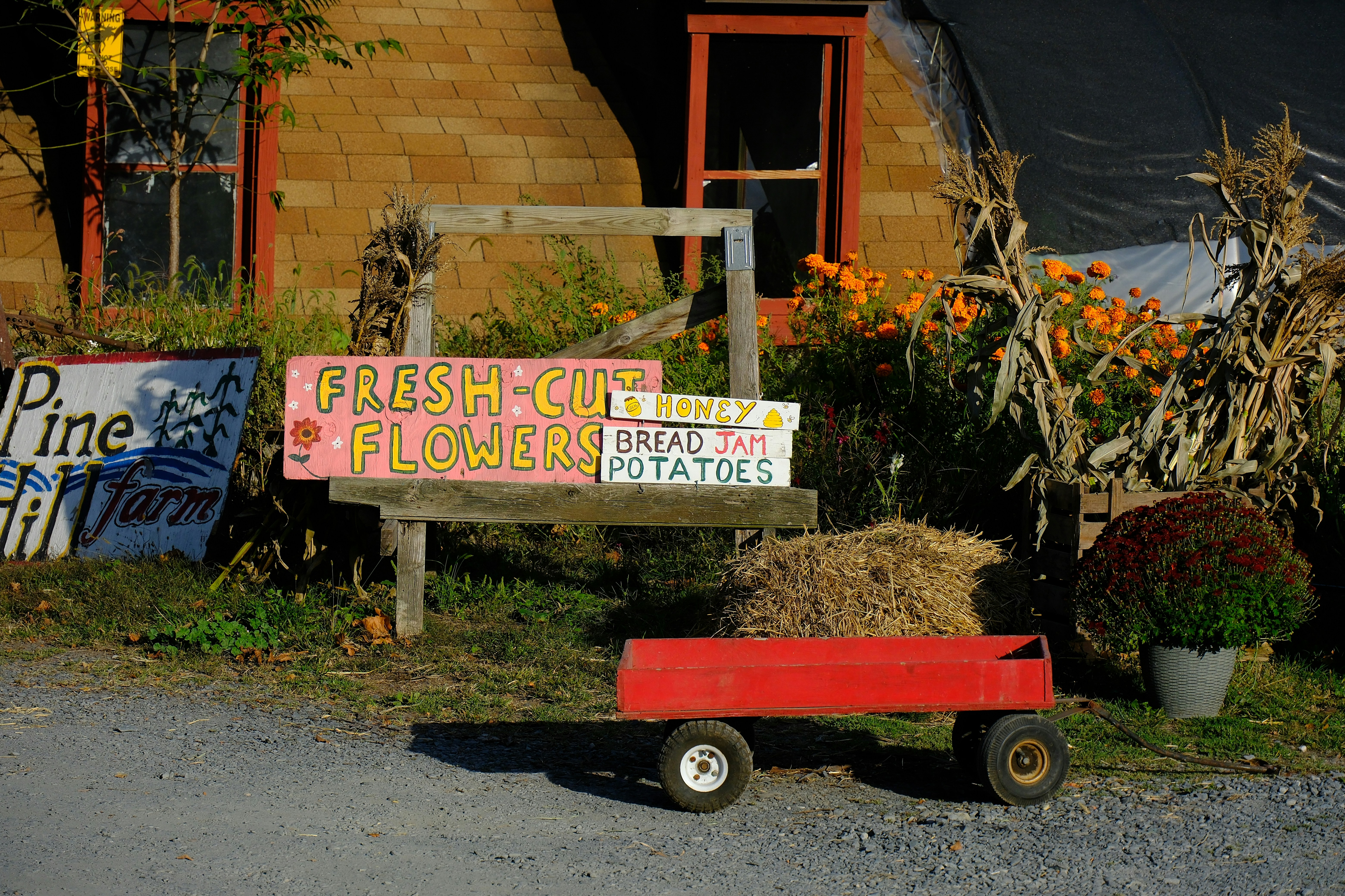 Farm stand with fresh cut flowers and potatoes