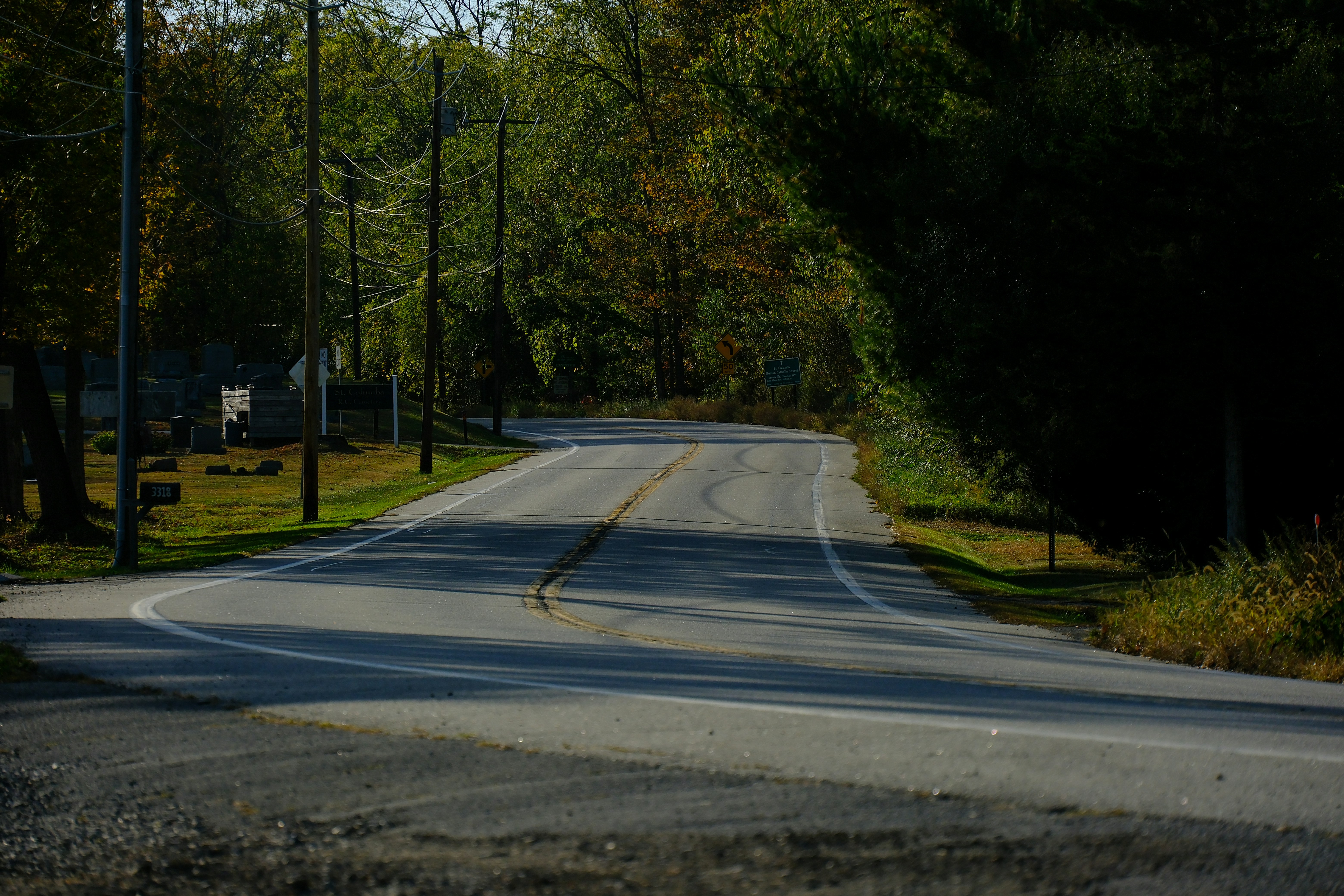 Curving rural road lined with trees showcasing early autumn foliage under a clear sky.