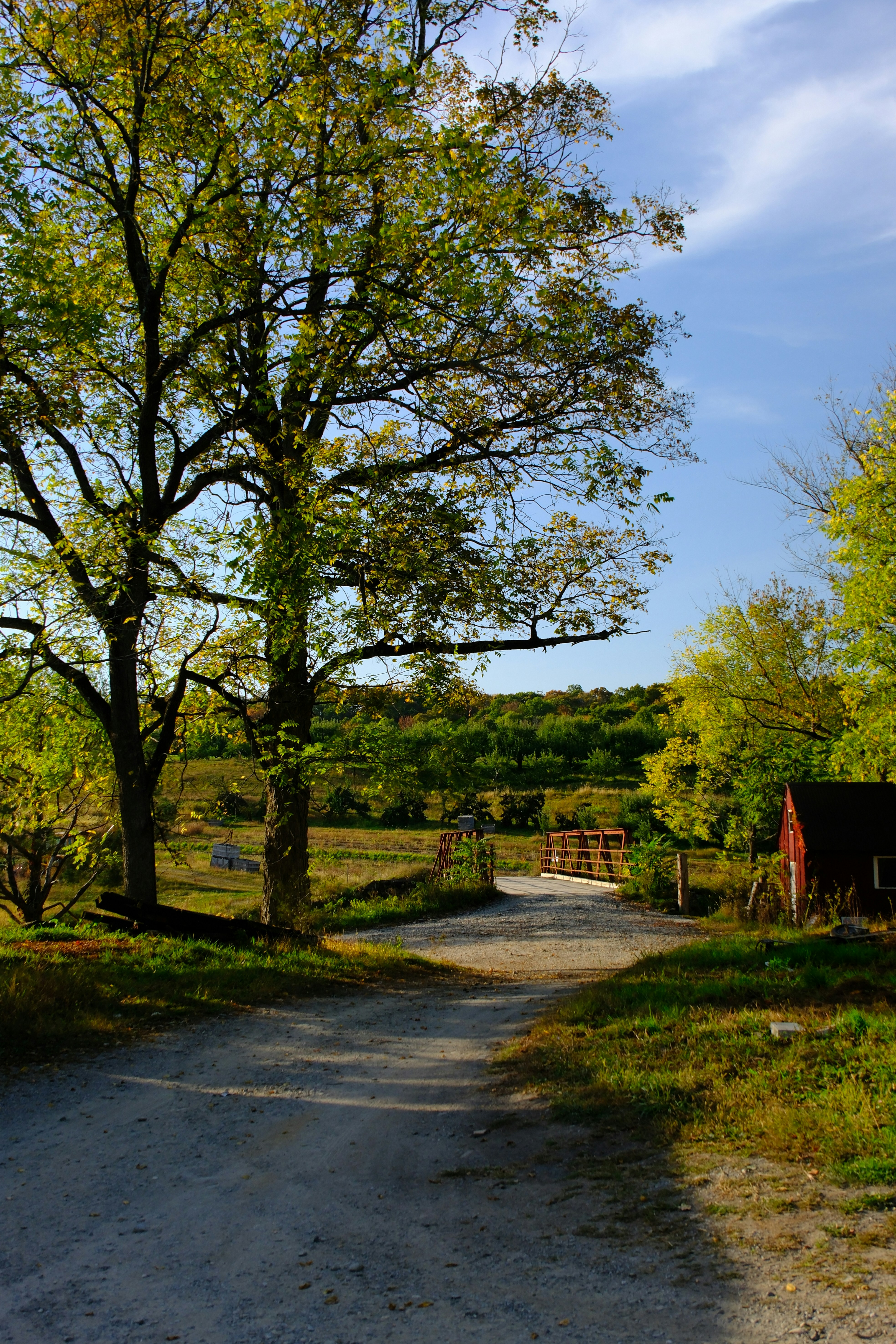 Pathway to Tranquility: A Rustic Journey