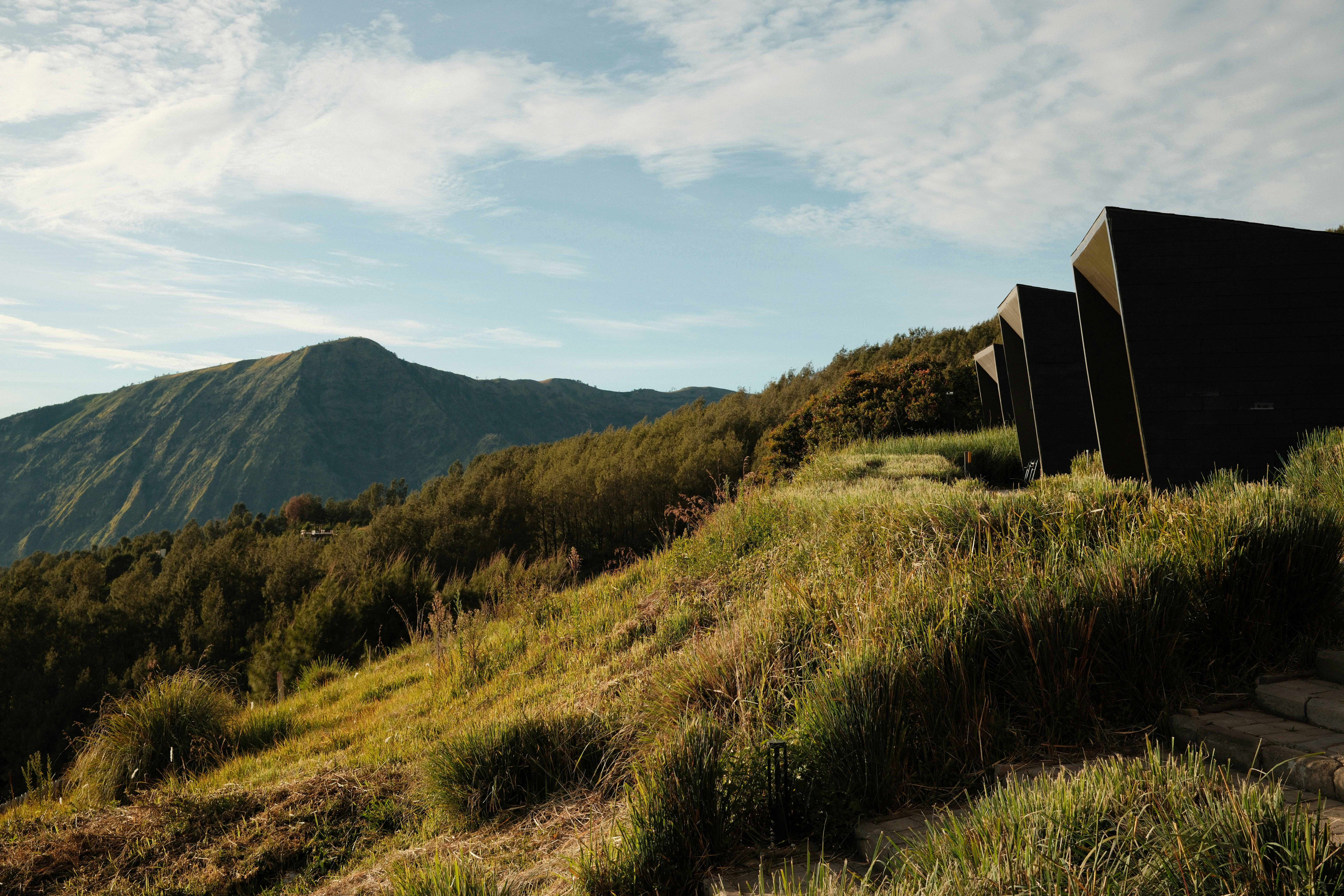 Echoes of Modernity Against Nature's Canvas