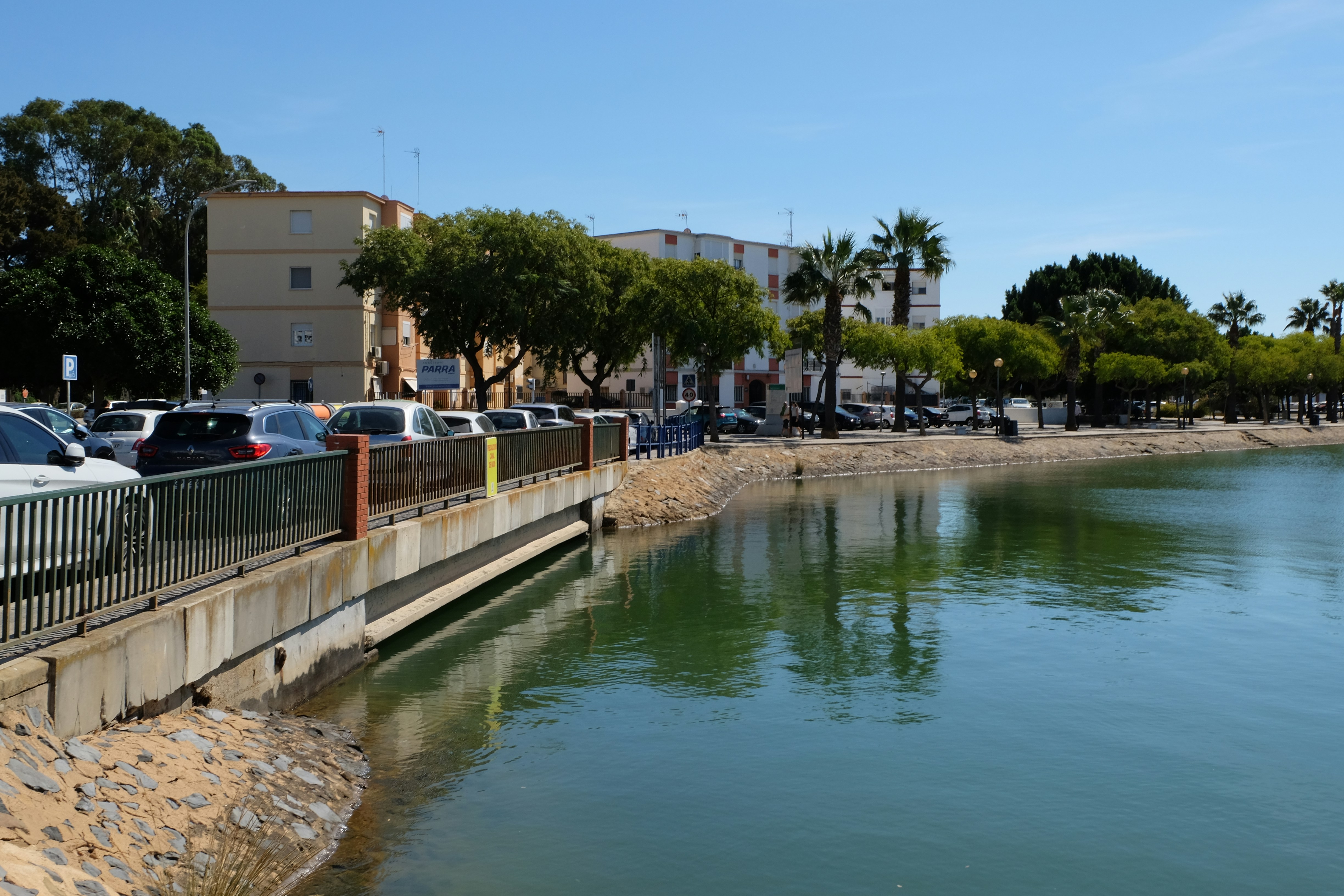 Harborfront Promenade: Palm-Shaded Waterside and a Quiet City Edge