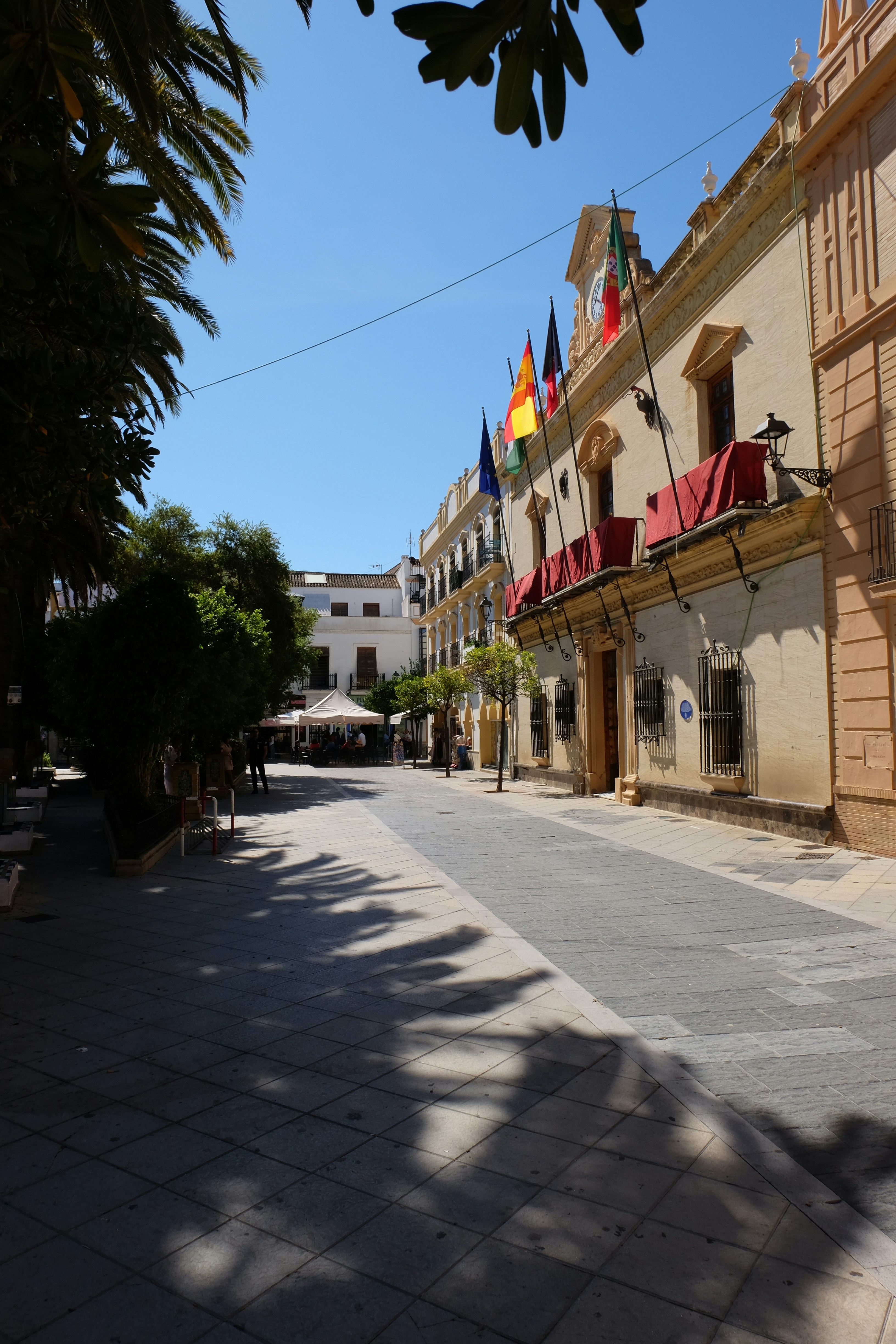 Charming street scene featuring a blend of historic architecture and vibrant flags, with shadows cast by nearby foliage. Perfect for leisurely exploration.