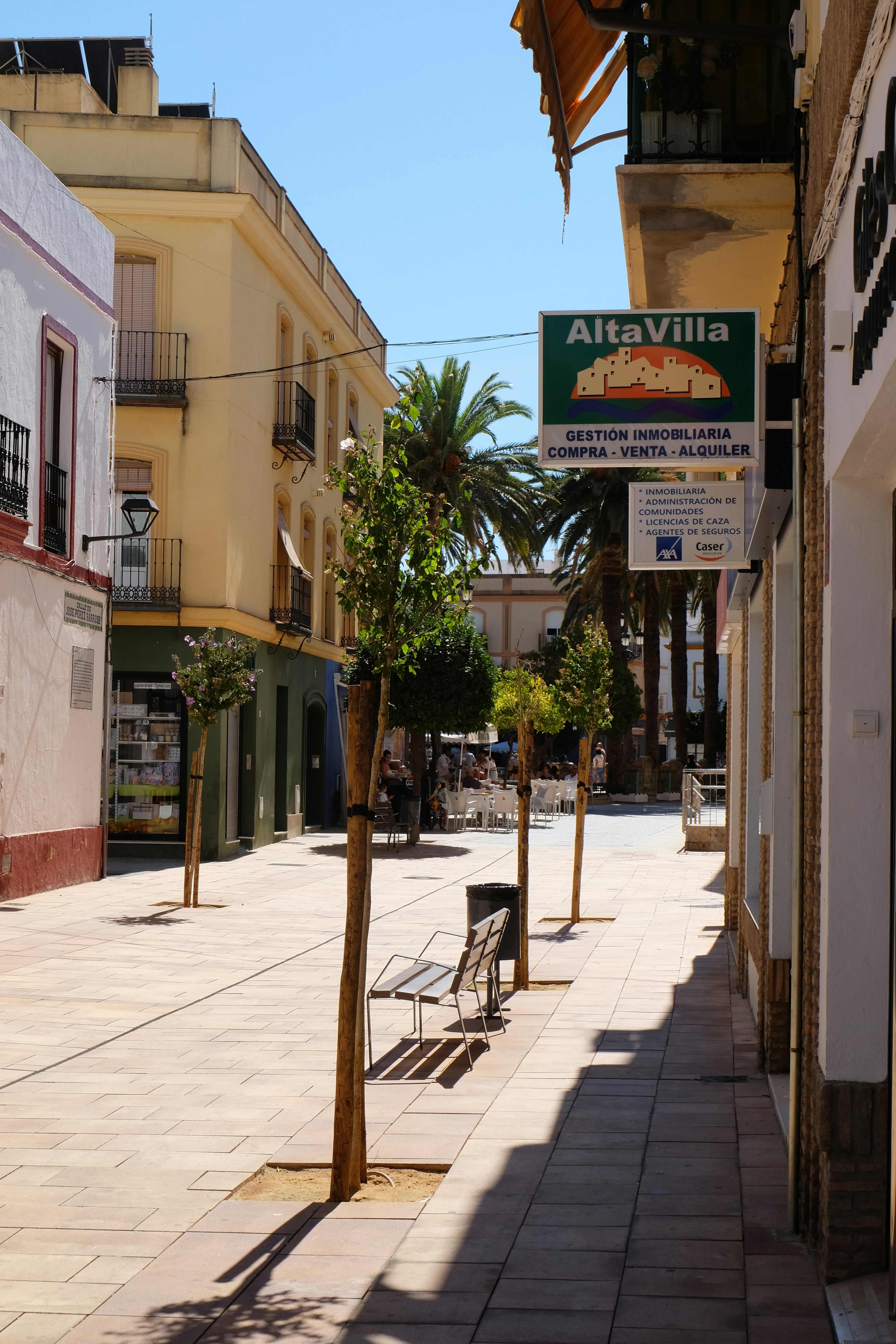 Sunny street with trees and buildings in spain.