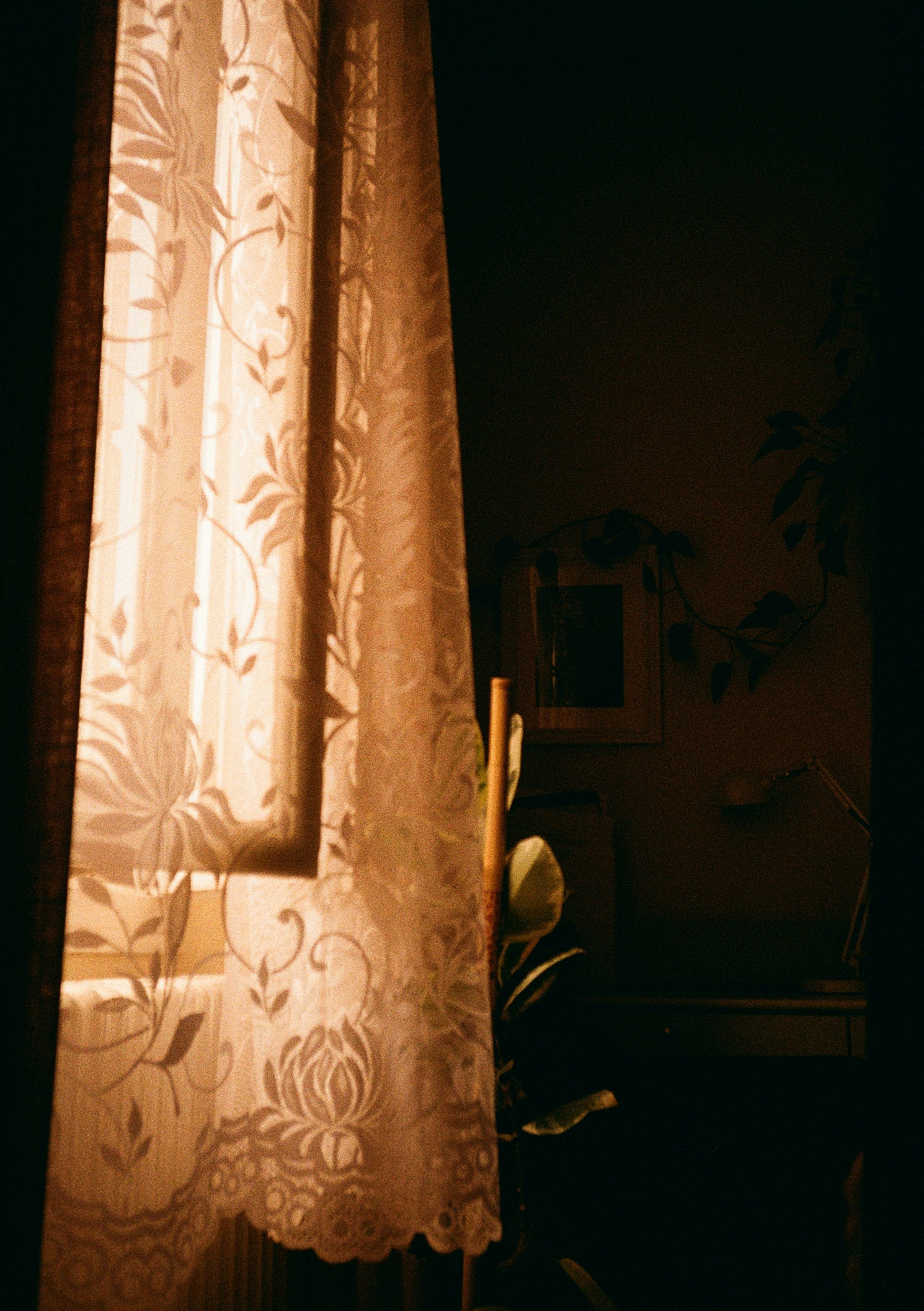 Sunlight shines through a sheer lace curtain. photo – Free Interior ...