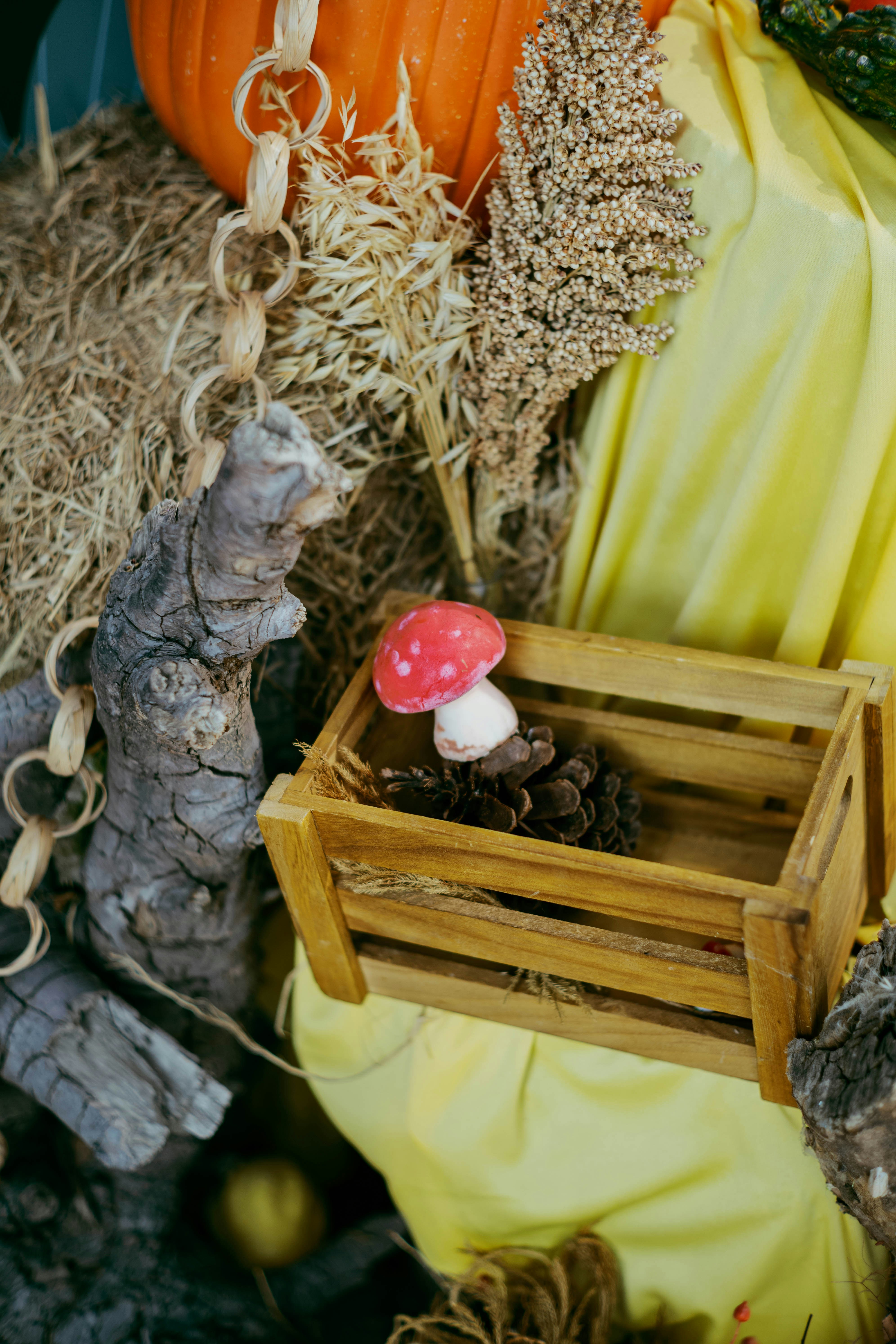 Harvest Whimsy: A Seasonal Still Life