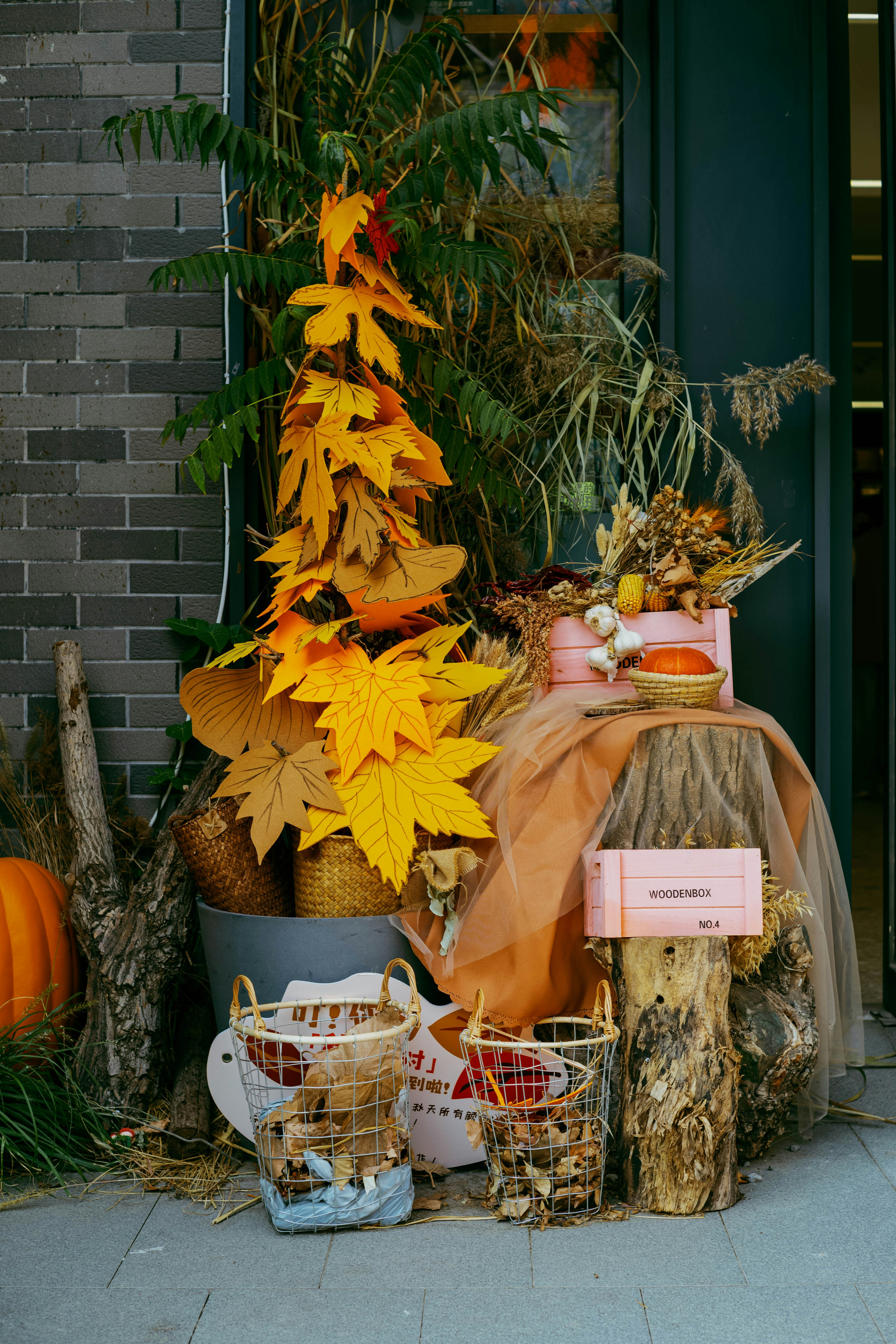 Harvest Harmony: A Seasonal Display of Nature's Bounty