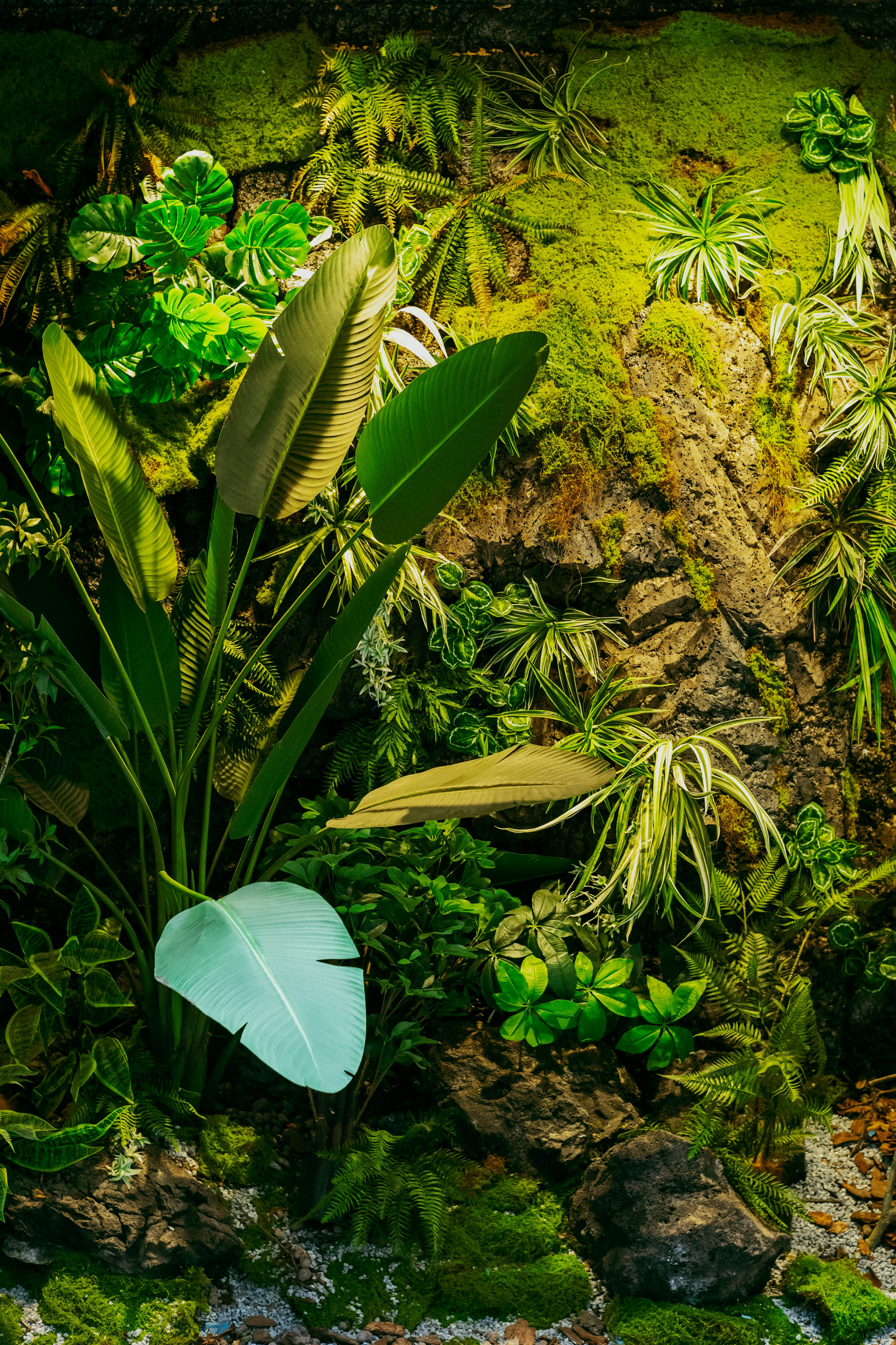 Verdant Oasis: Nature's Palette