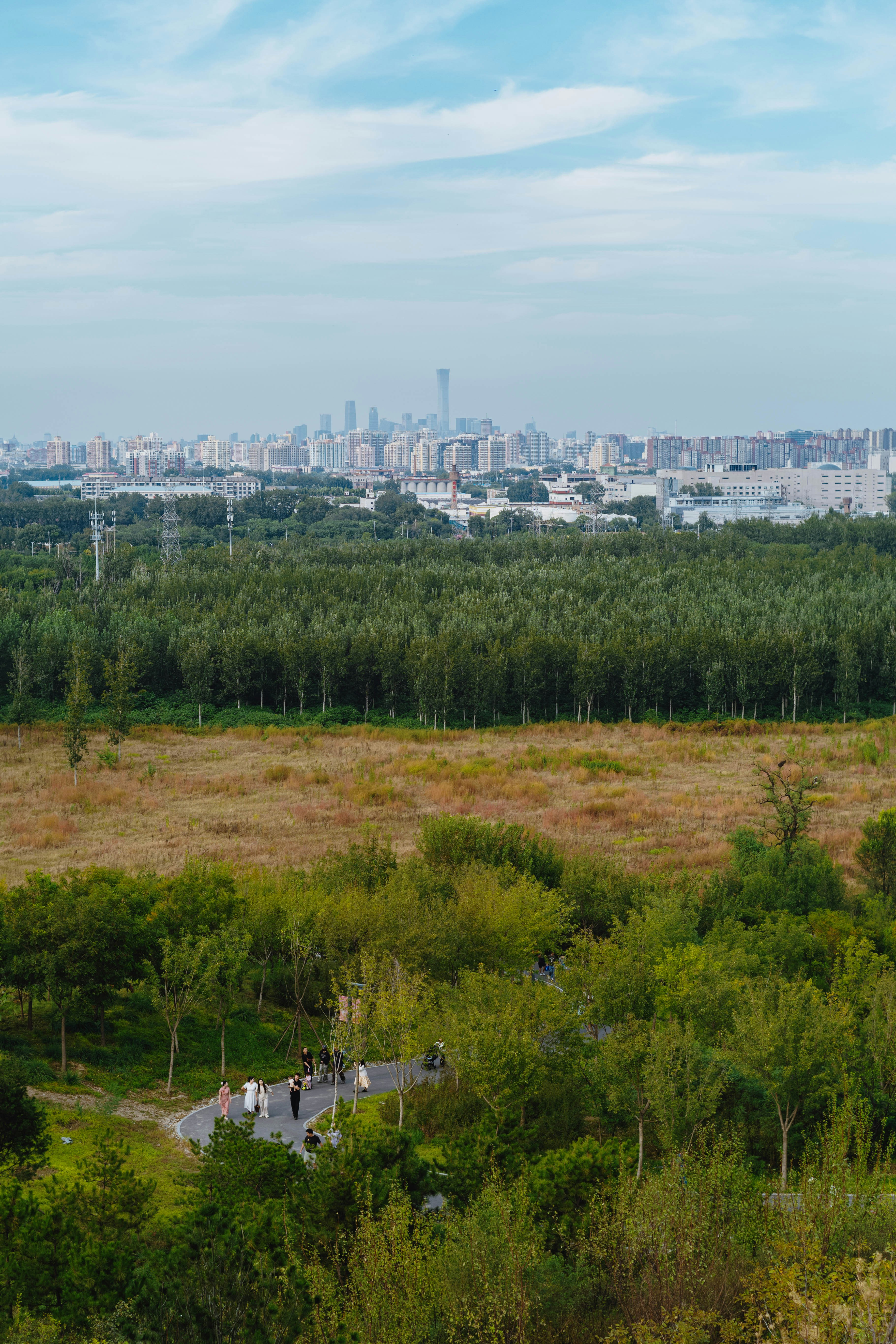 Urban Oasis: Nature Meets Skyline