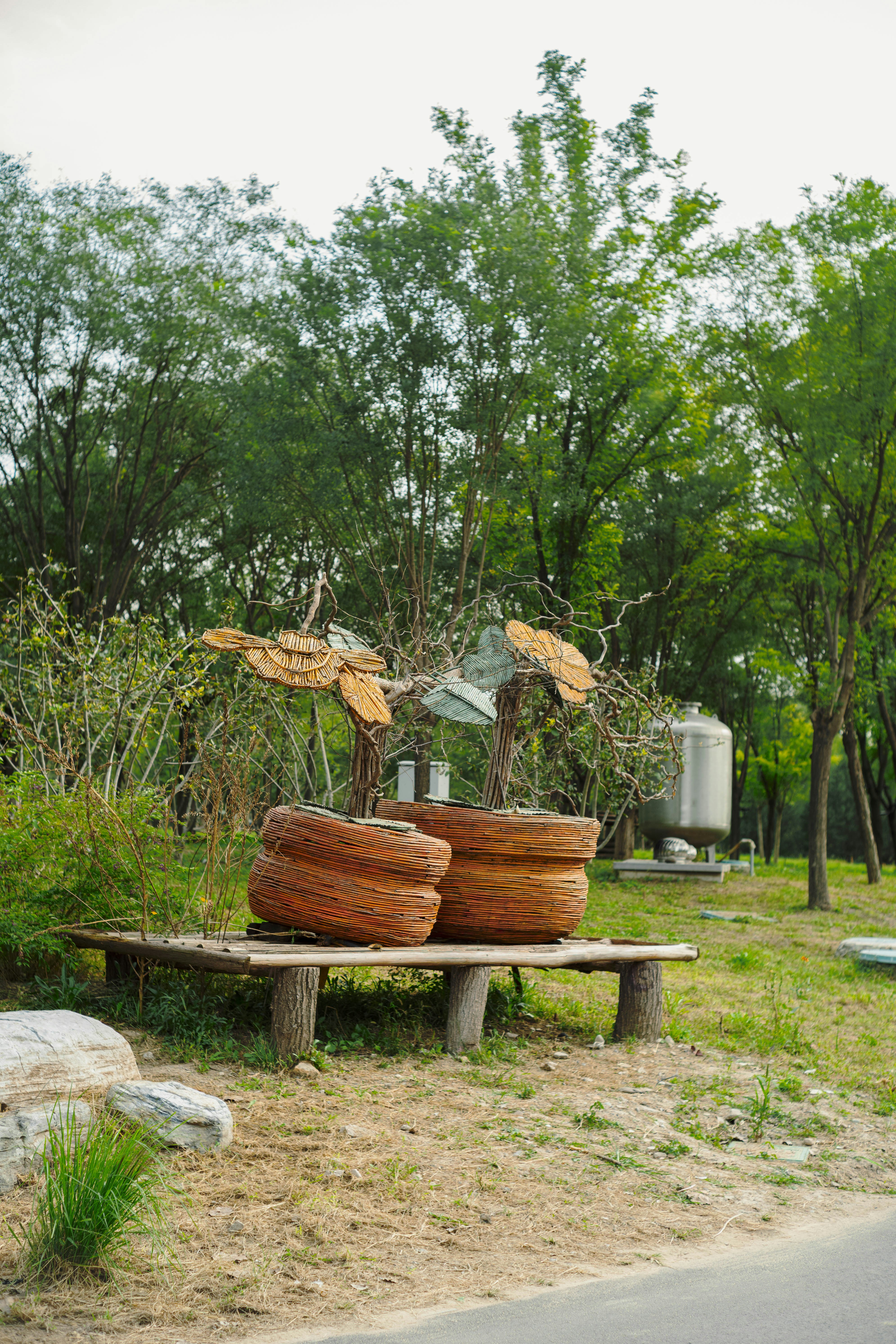 Nature's Artistic Embrace: A Whimsical Garden Retreat