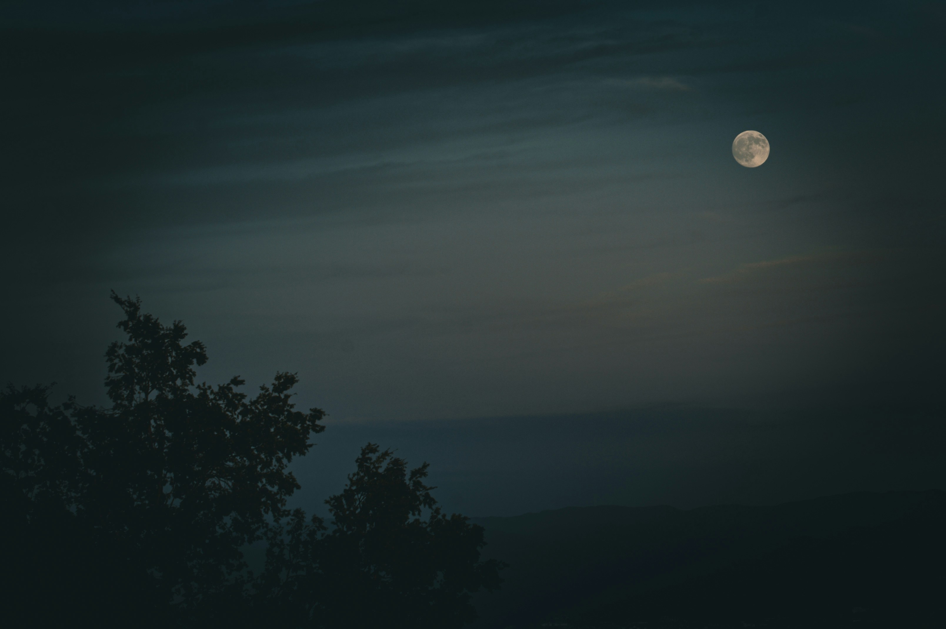 Lunar Whisper: A Night's Embrace