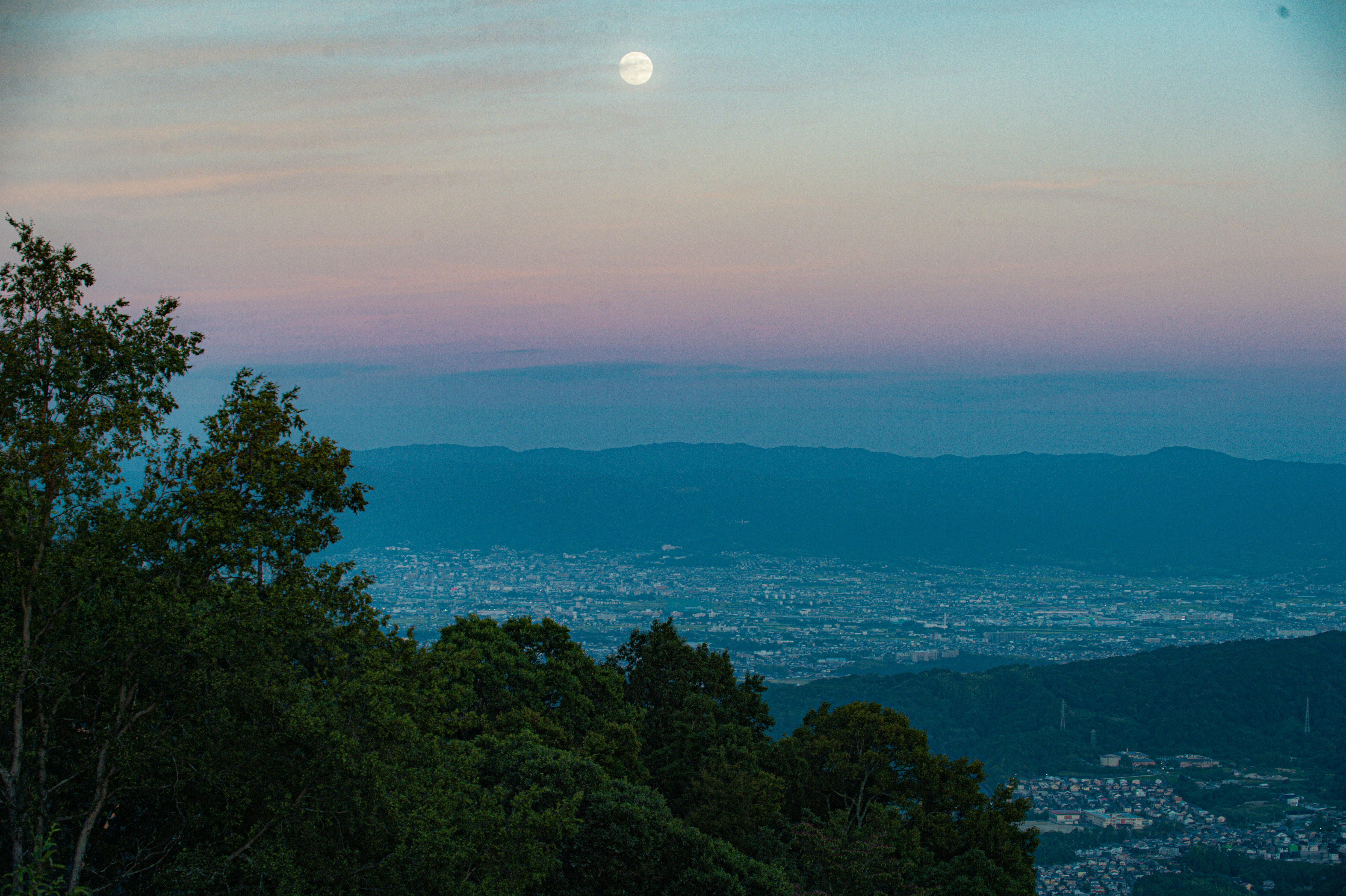 Moonlit Serenity Over the Cityscape