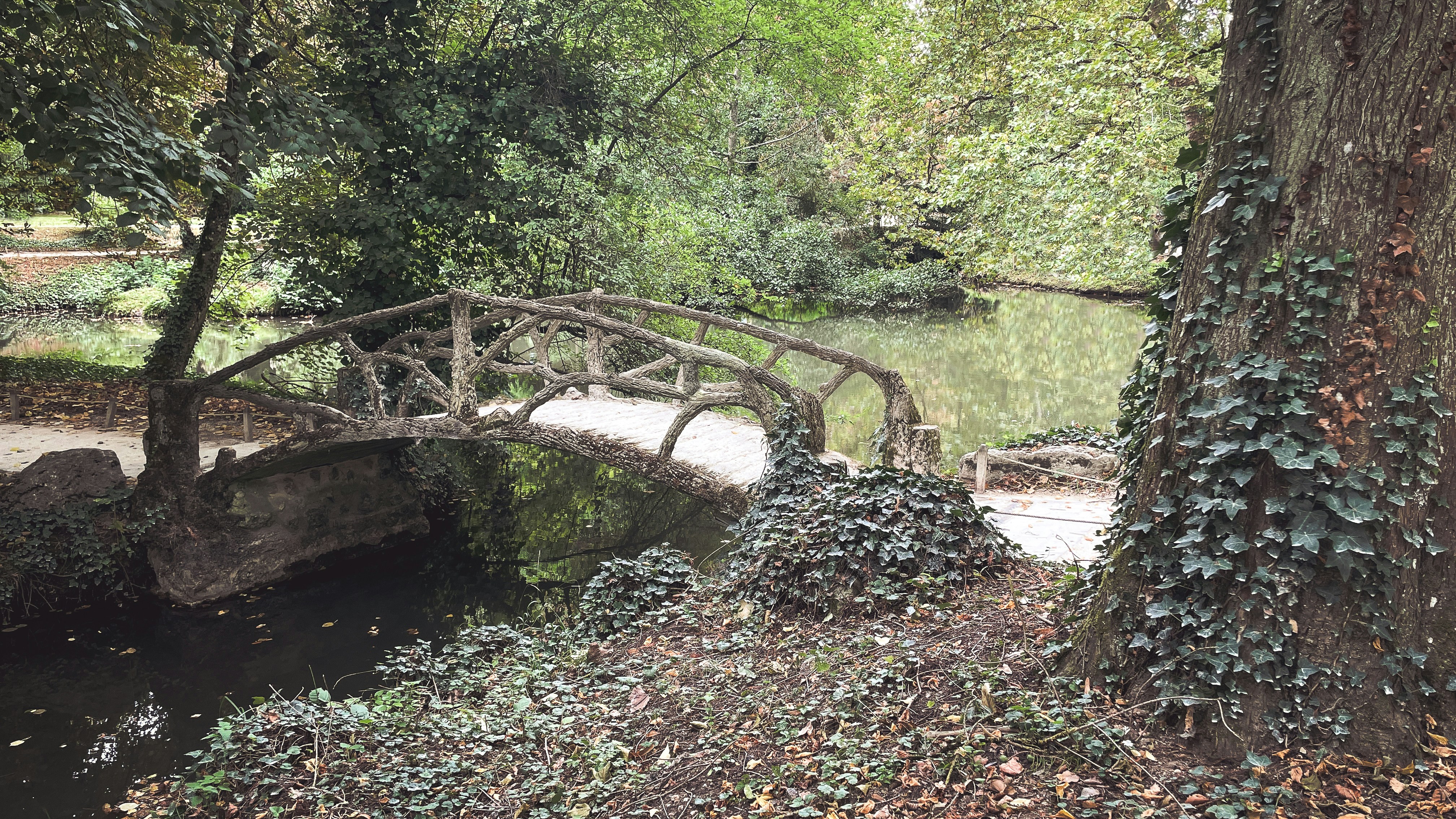 A rustic stone bridge arches gracefully over a serene pond, surrounded by lush greenery and ivy-clad trees.
