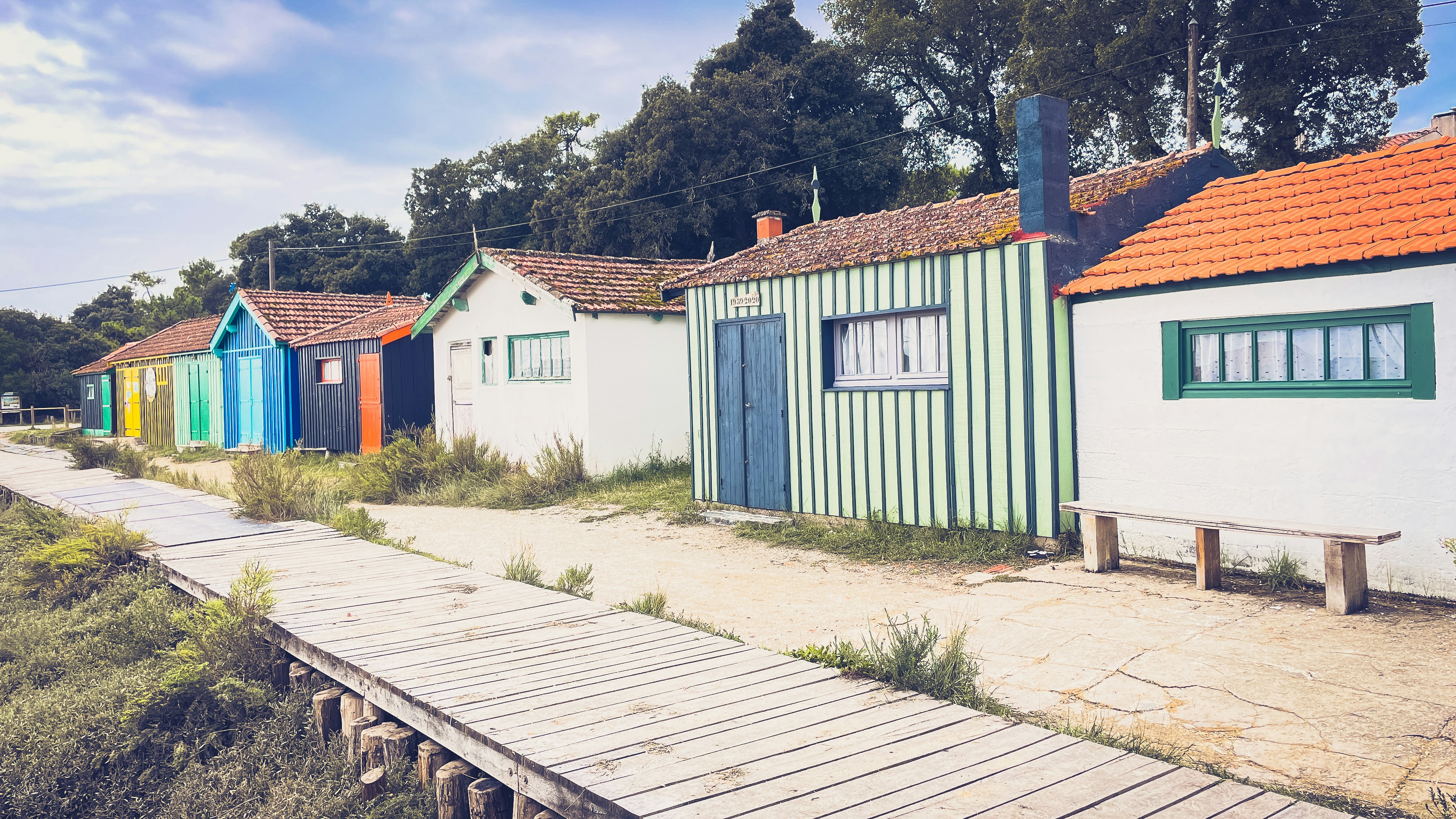 Charming Coastal Cabins: A Palette of Colors by the Shore