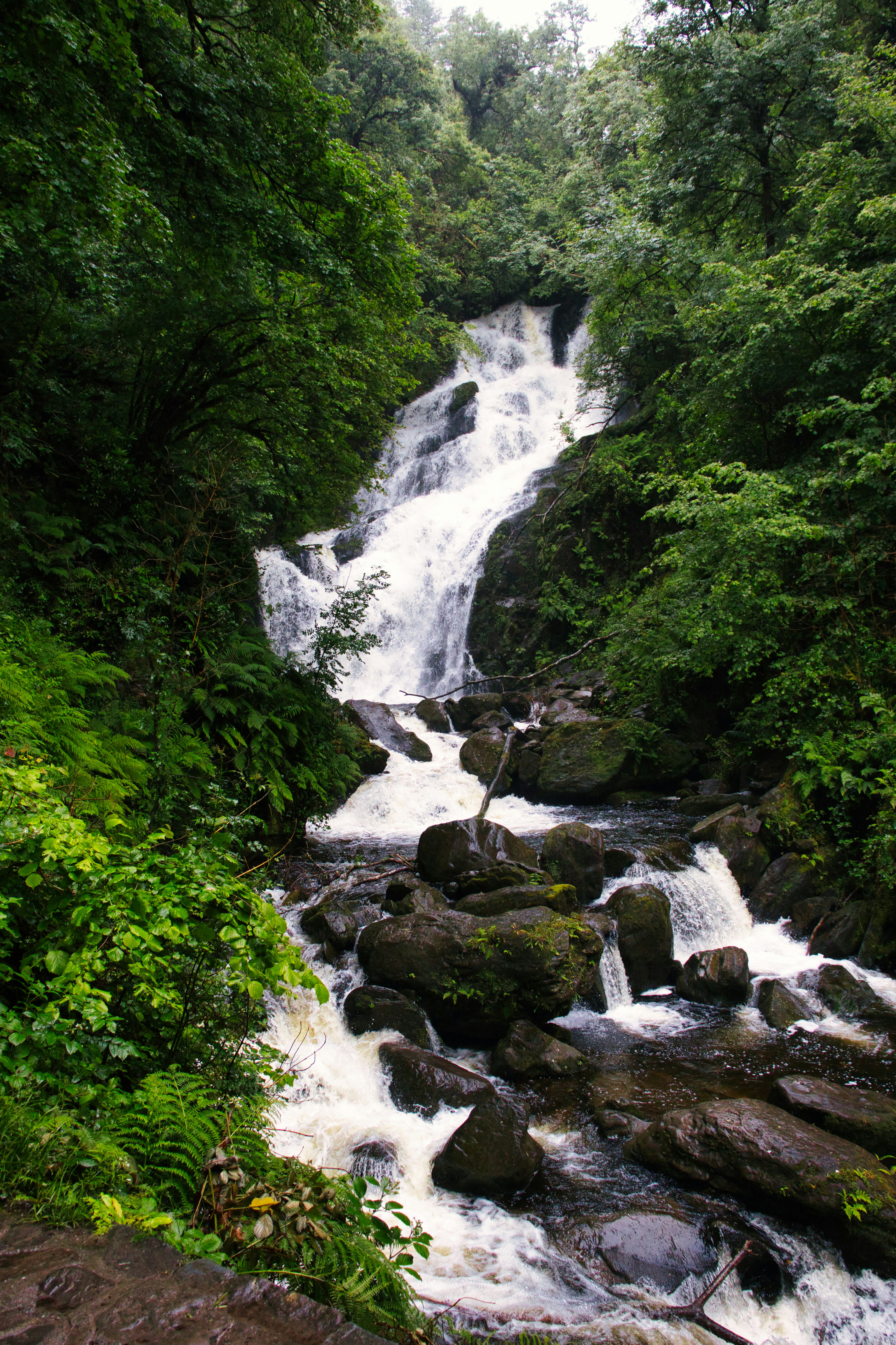 Emerald Cascade Through a Mossy Gorge