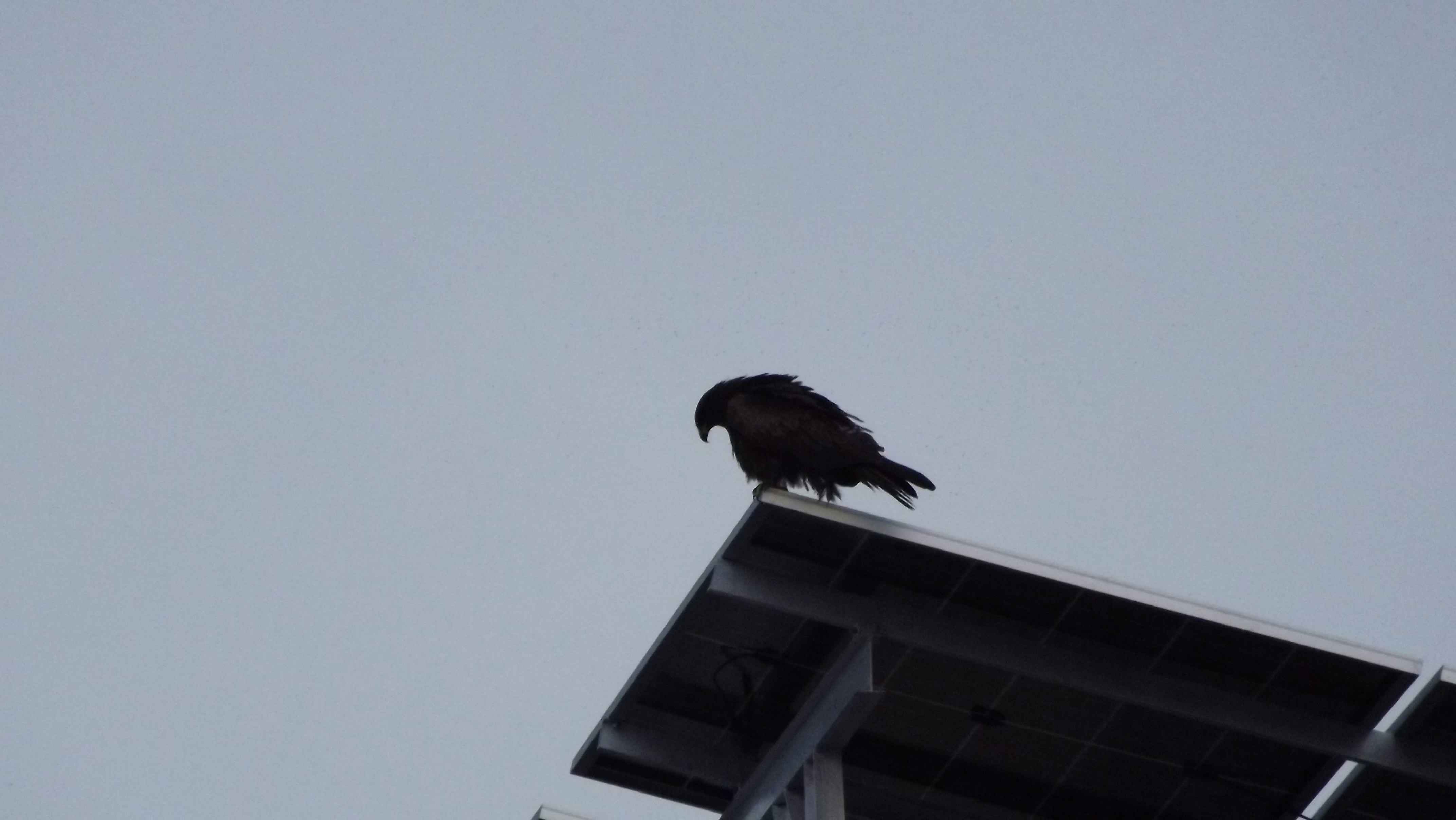 Tooba Ahmed (@seedinmud) | Komunitas Foto Unsplash