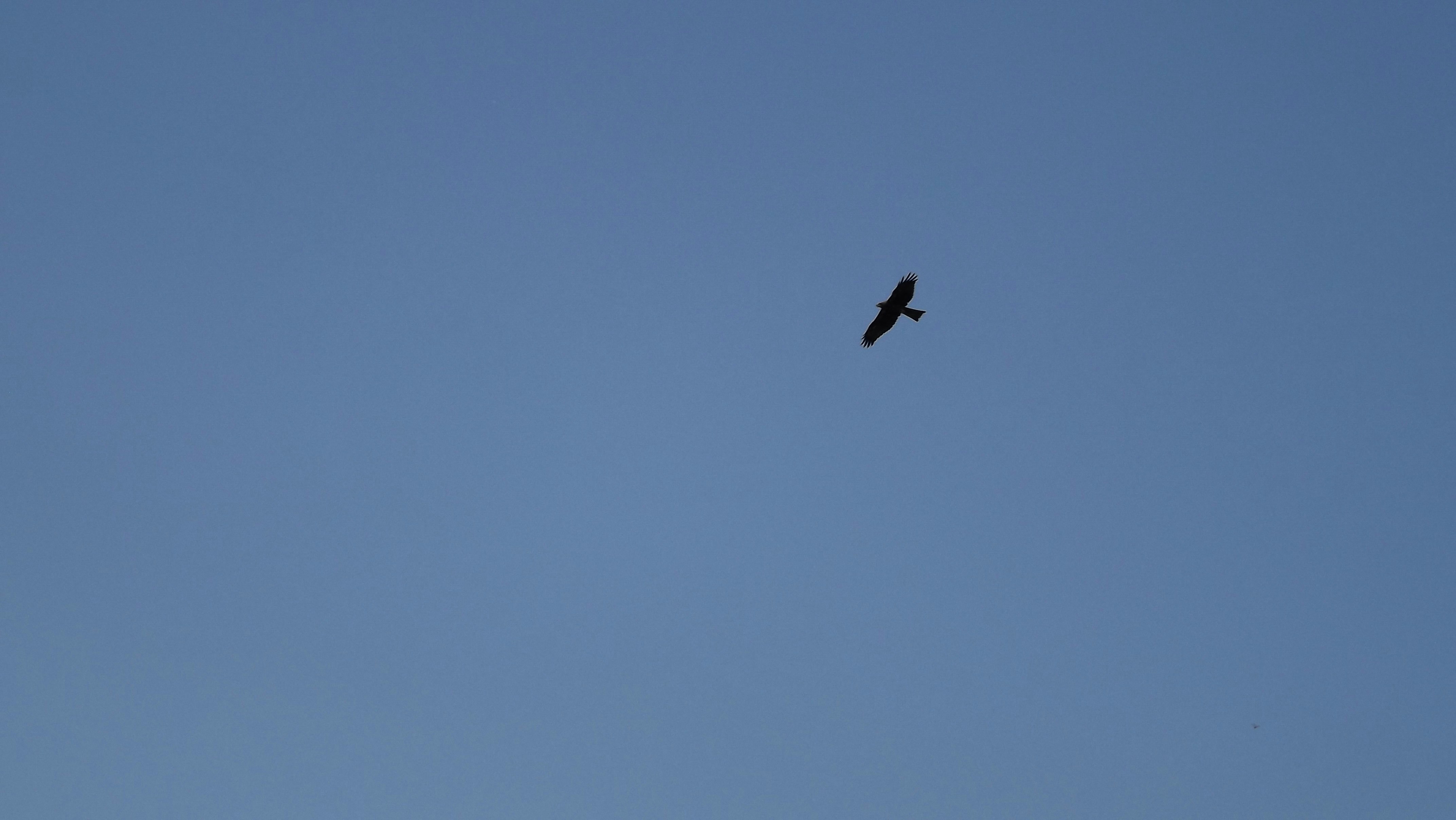 Tooba Ahmed (@seedinmud) | Komunitas Foto Unsplash