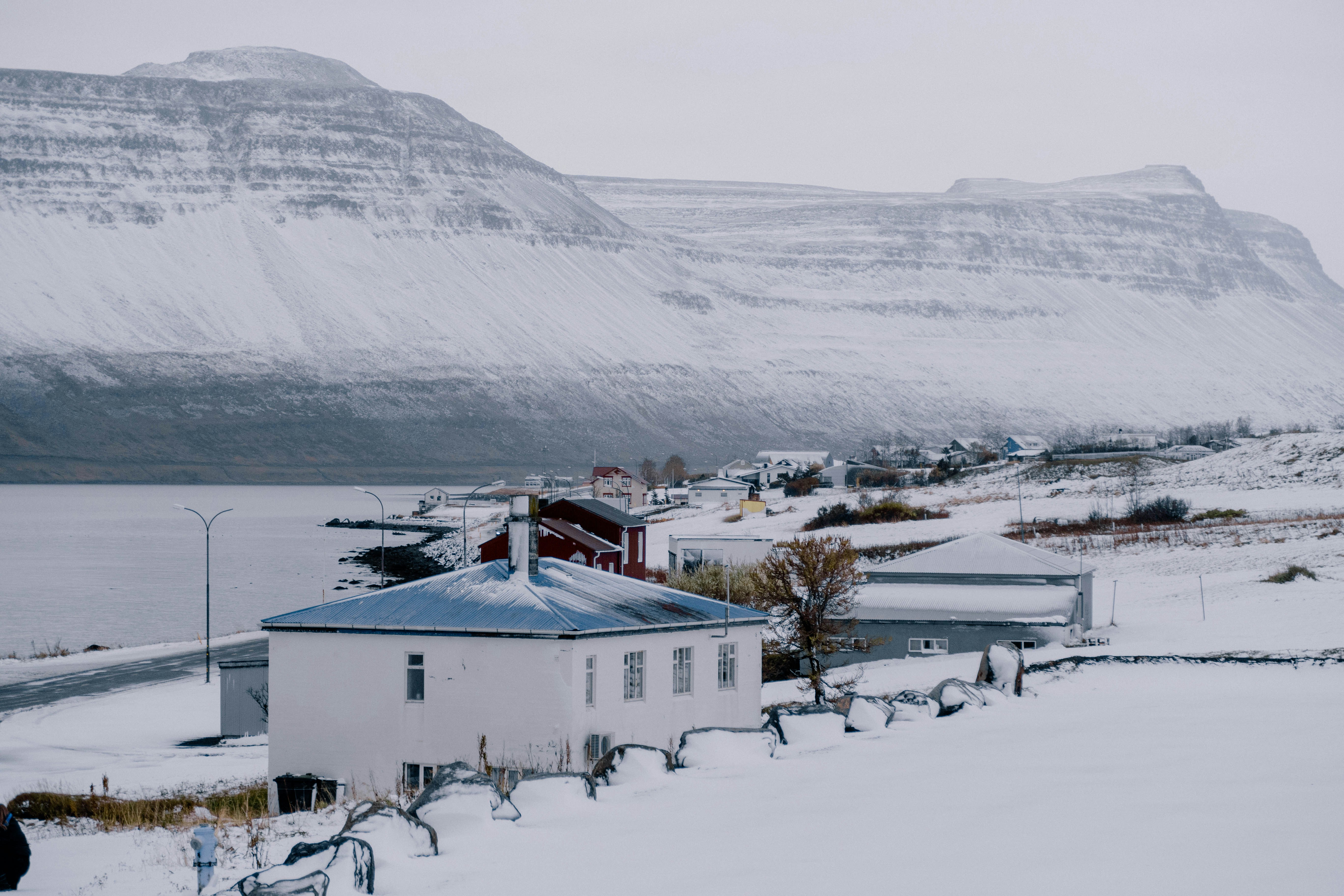 Whispers of Winter in a Nordic Landscape