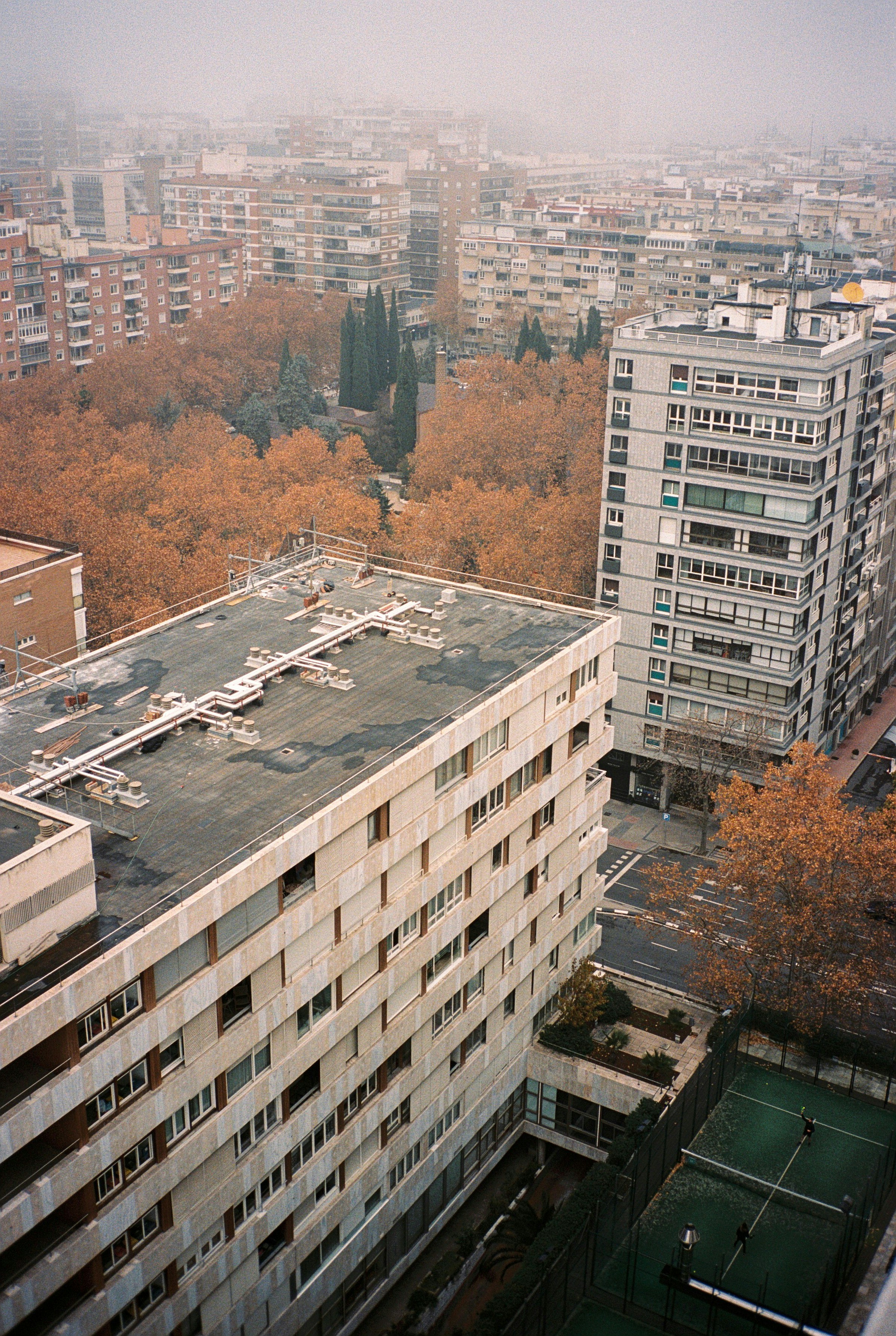 Urban Autumn Symphony: A Tapestry of Concrete and Color