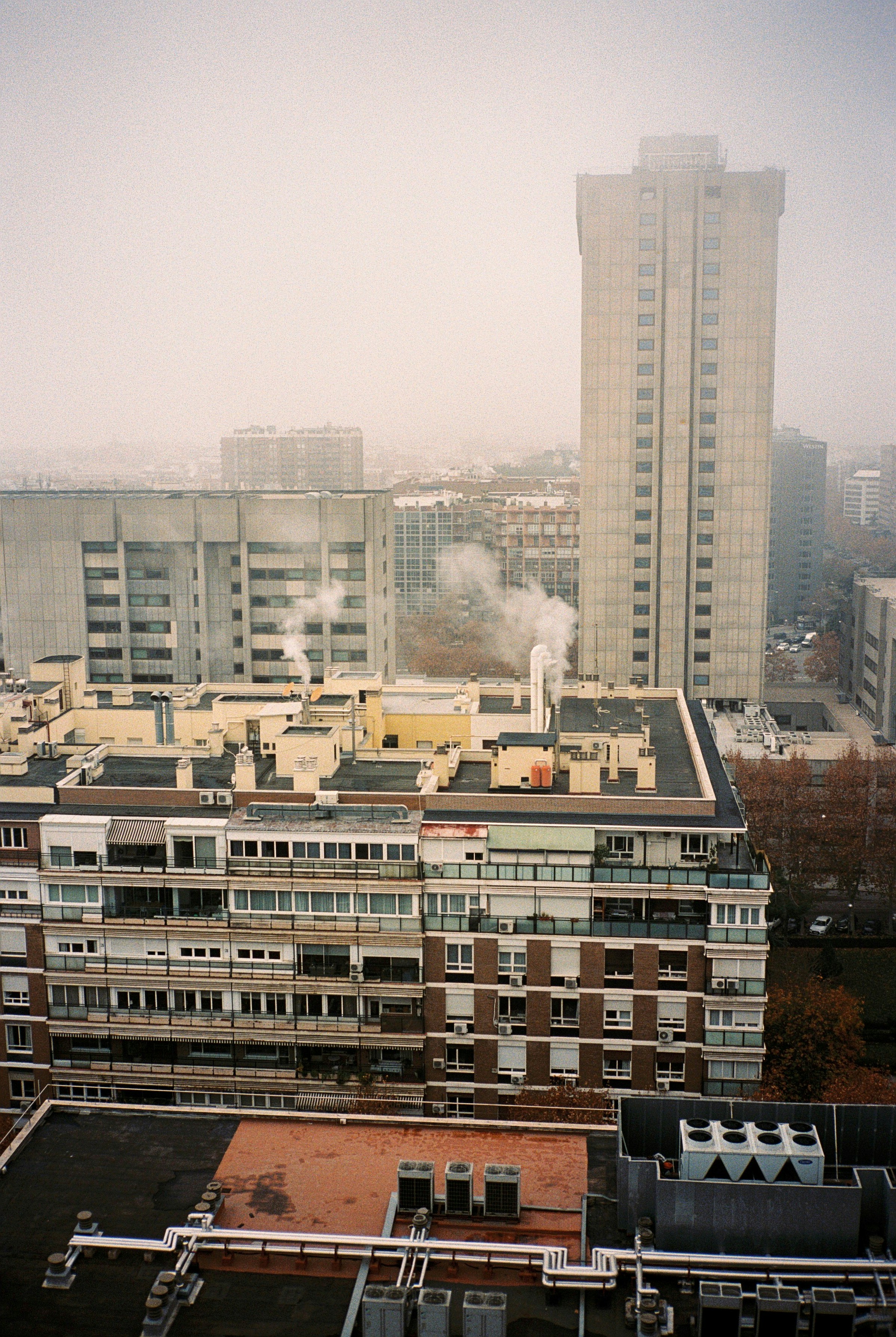 Urban Veins: A City Breathing