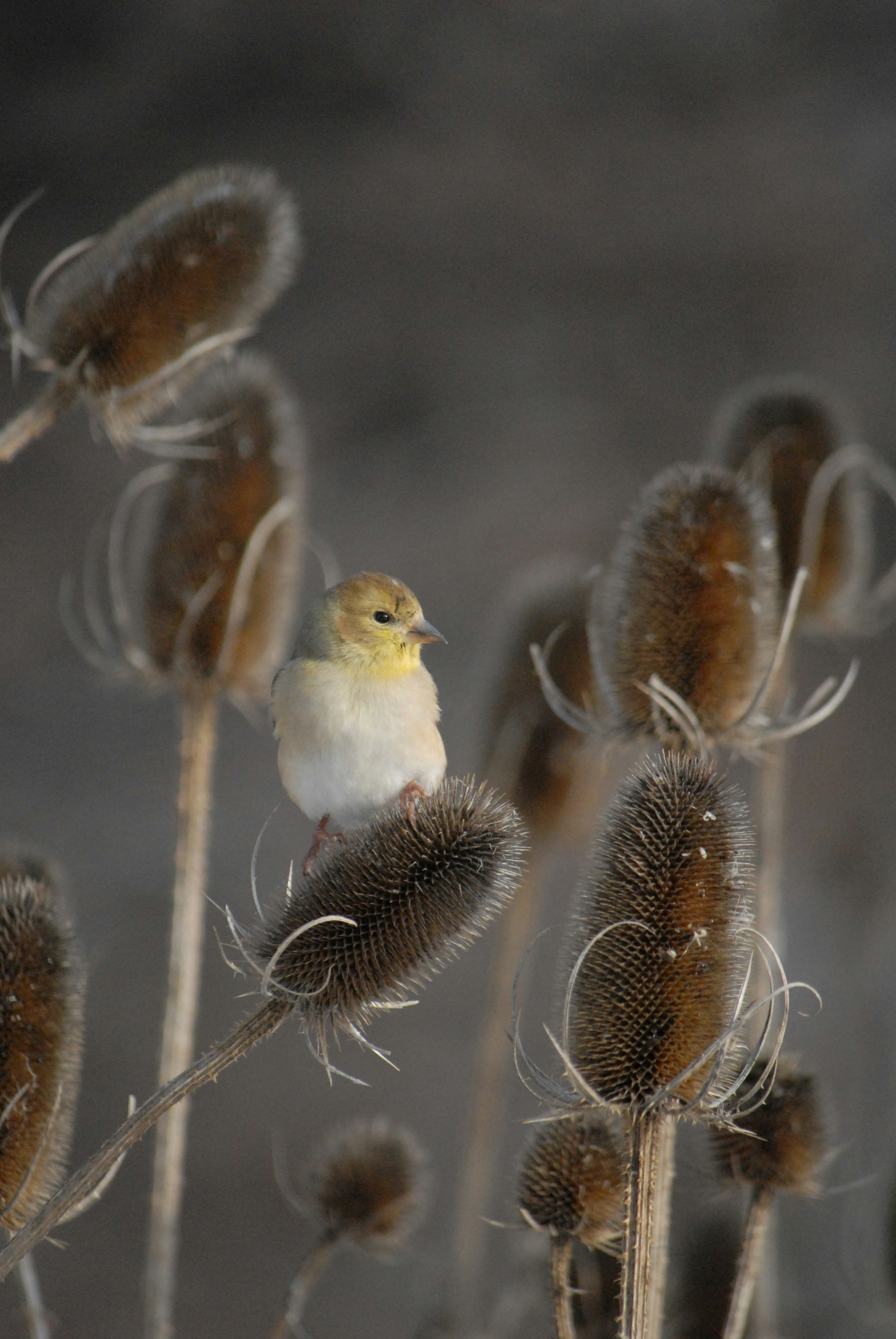 Photo by Justyna Zielinska with Nikon D200