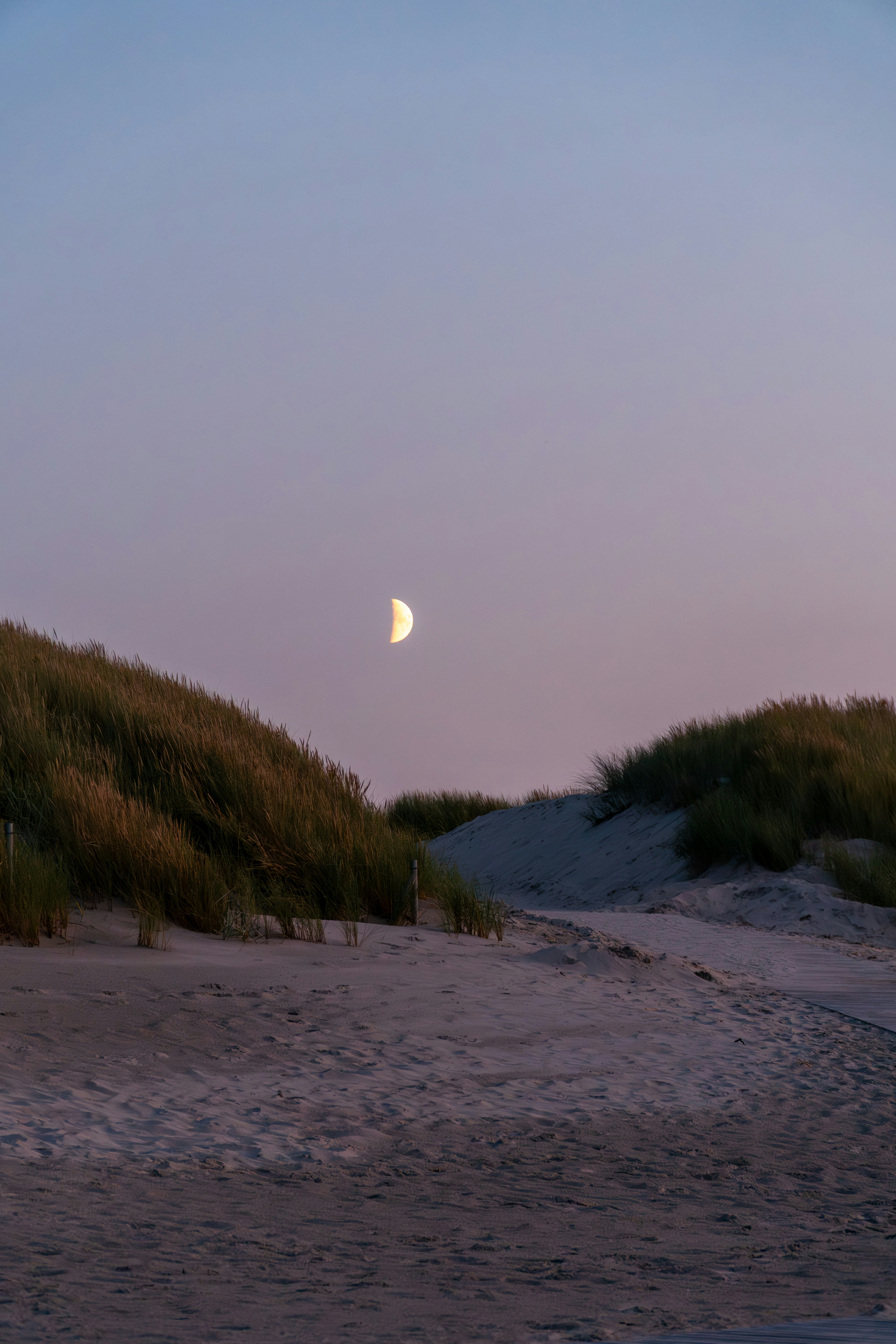Whispers of the Moonlit Dunes