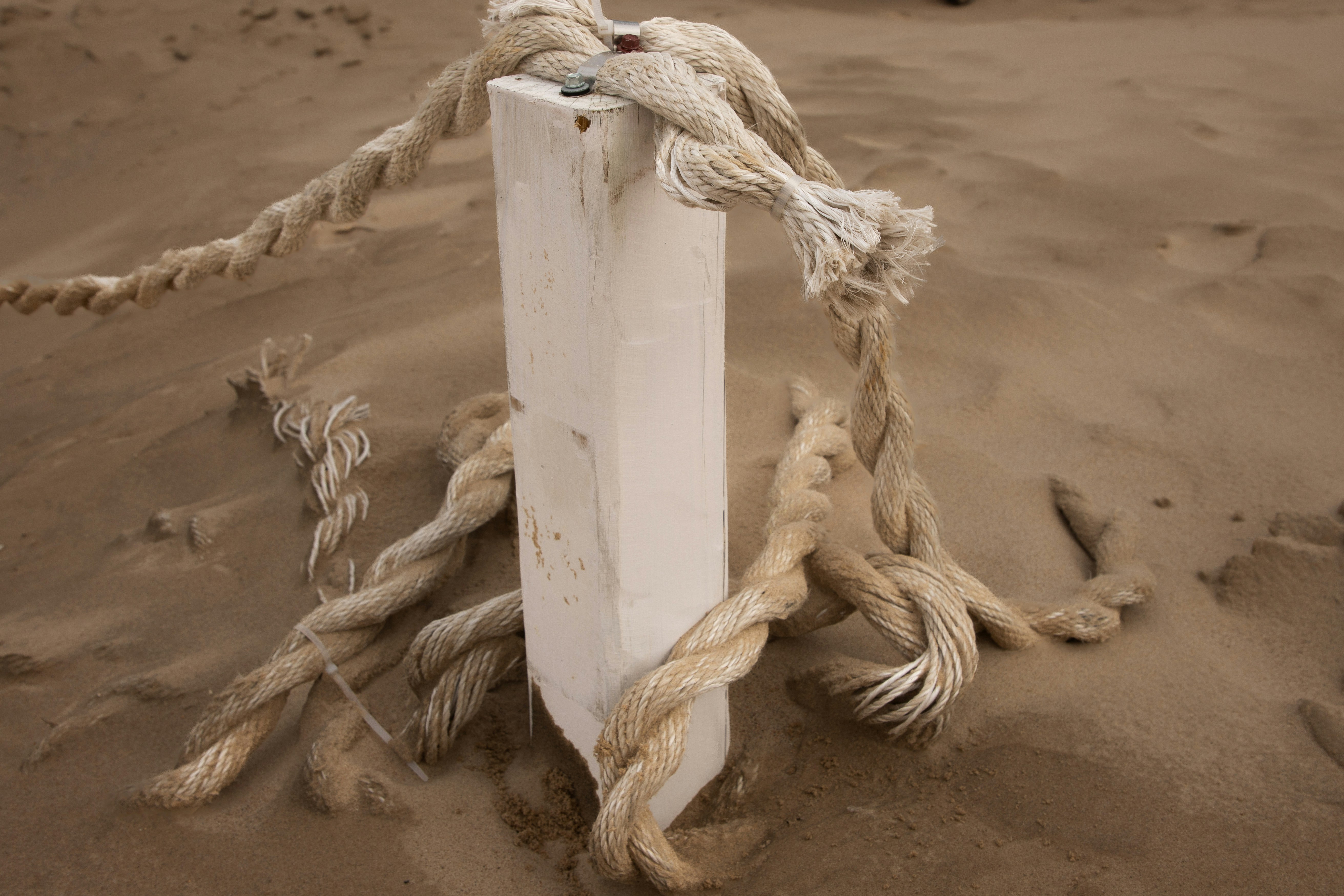 Tangled in Time: A Beachside Anchor's Story