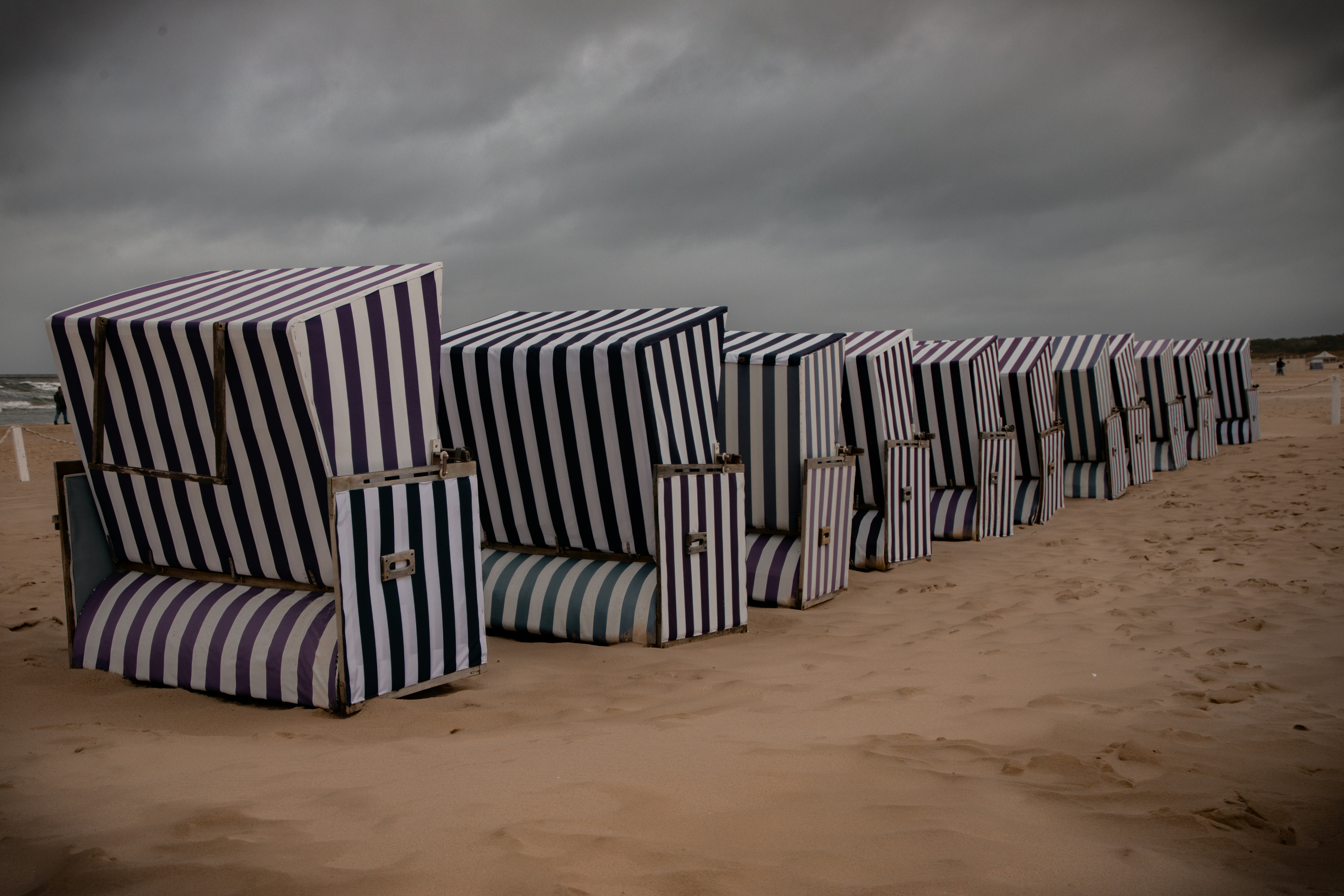 Silent Guardians of the Shoreline