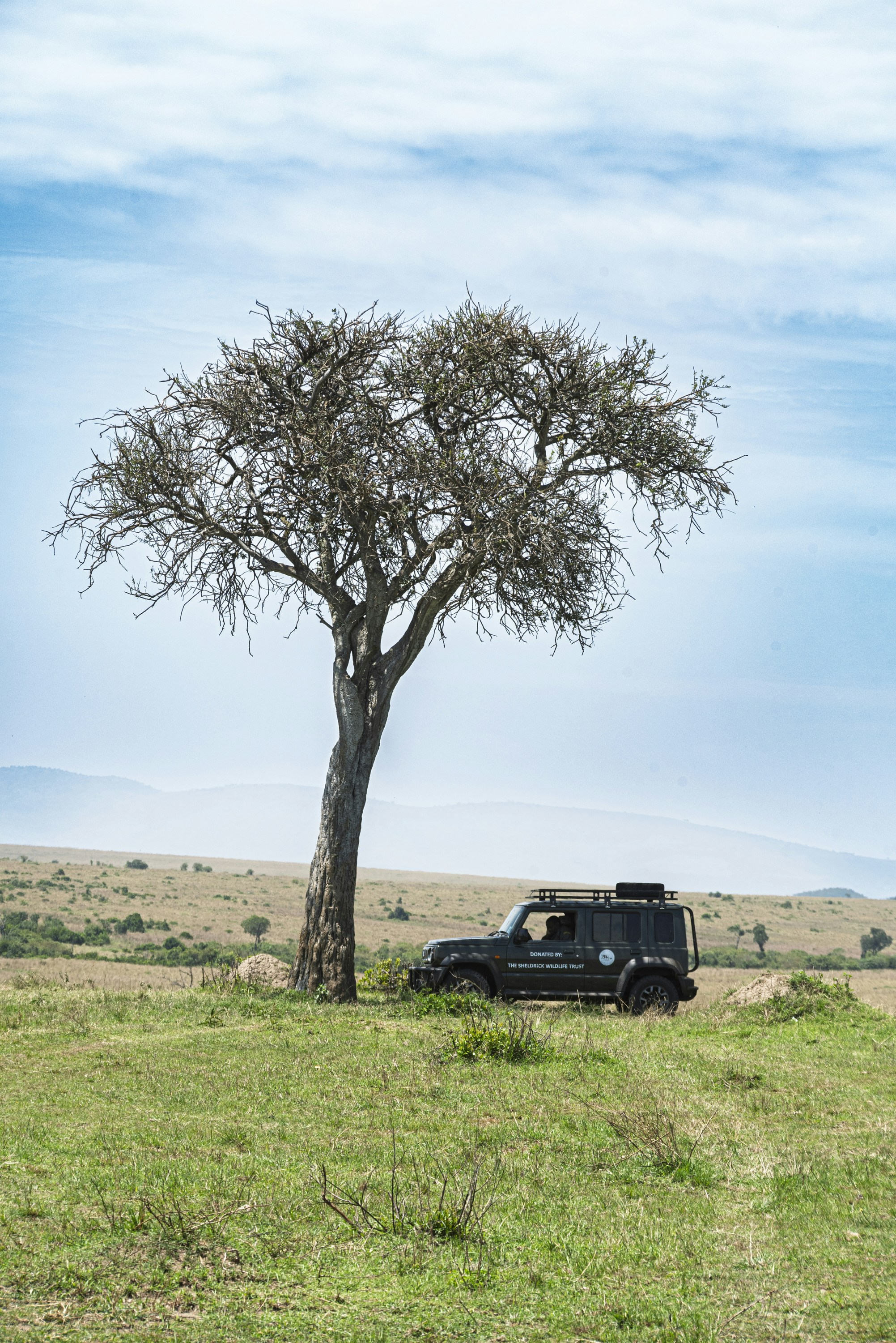 A rugged vehicle parked beneath a lone acacia tree in the expansive African savannah, showcasing the vastness of the landscape.