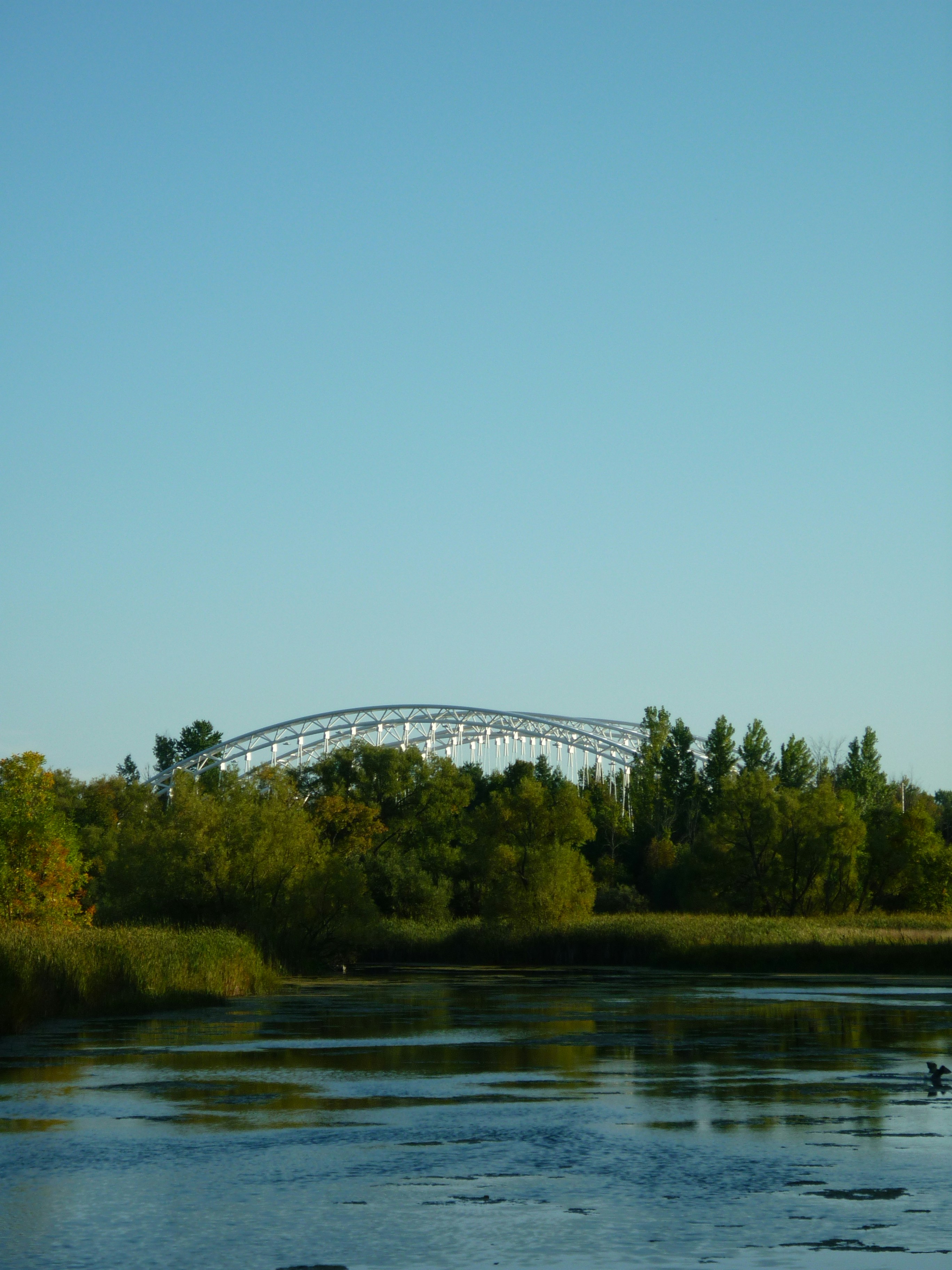 Arch bridge over trees with calm water
