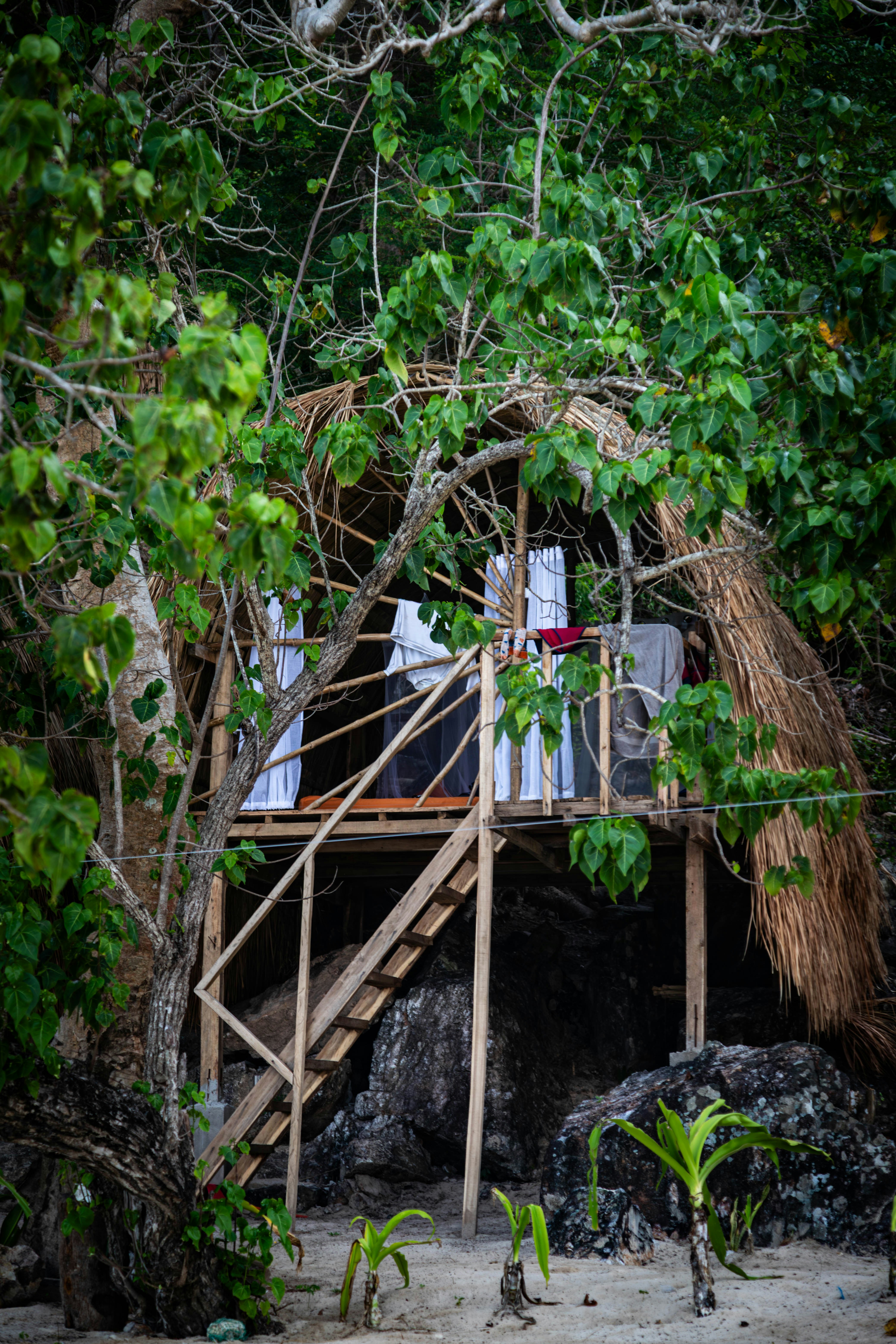 Secluded Haven: A Tropical Retreat Among the Trees