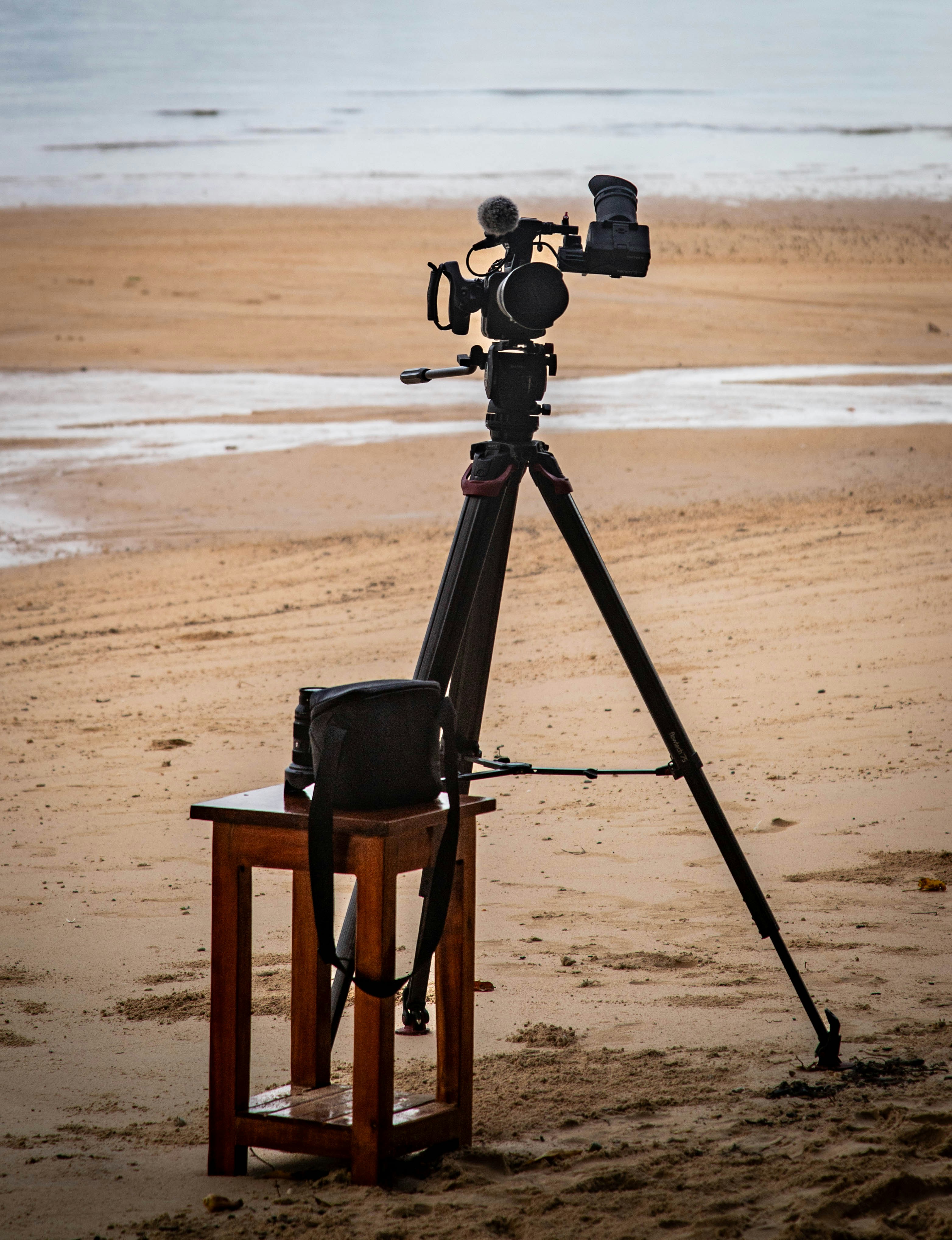 A Moment of Stillness: Capturing Nature's Canvas