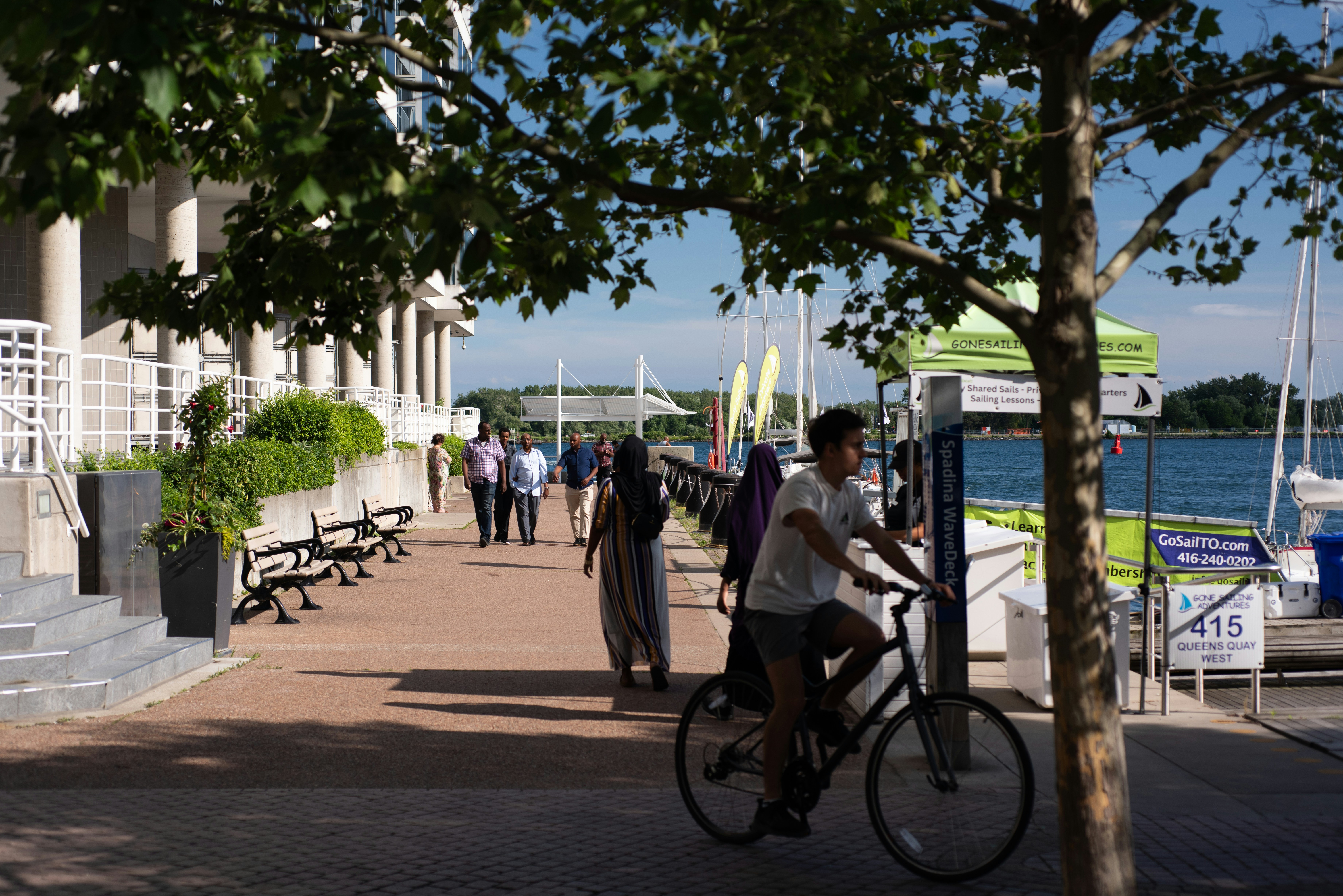 A Serene Stroll by the Waterfront