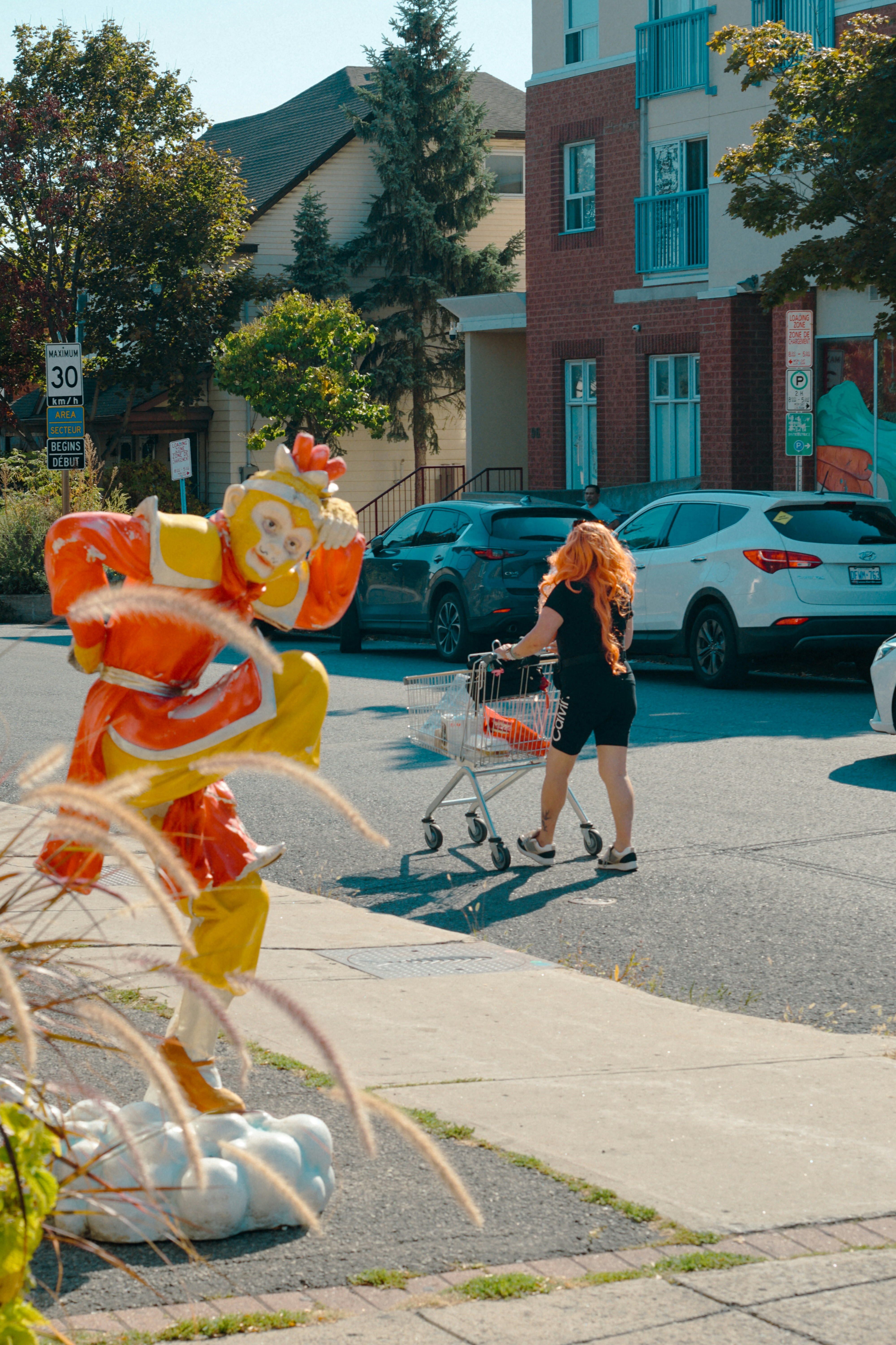 A Whimsical Encounter on the Streets