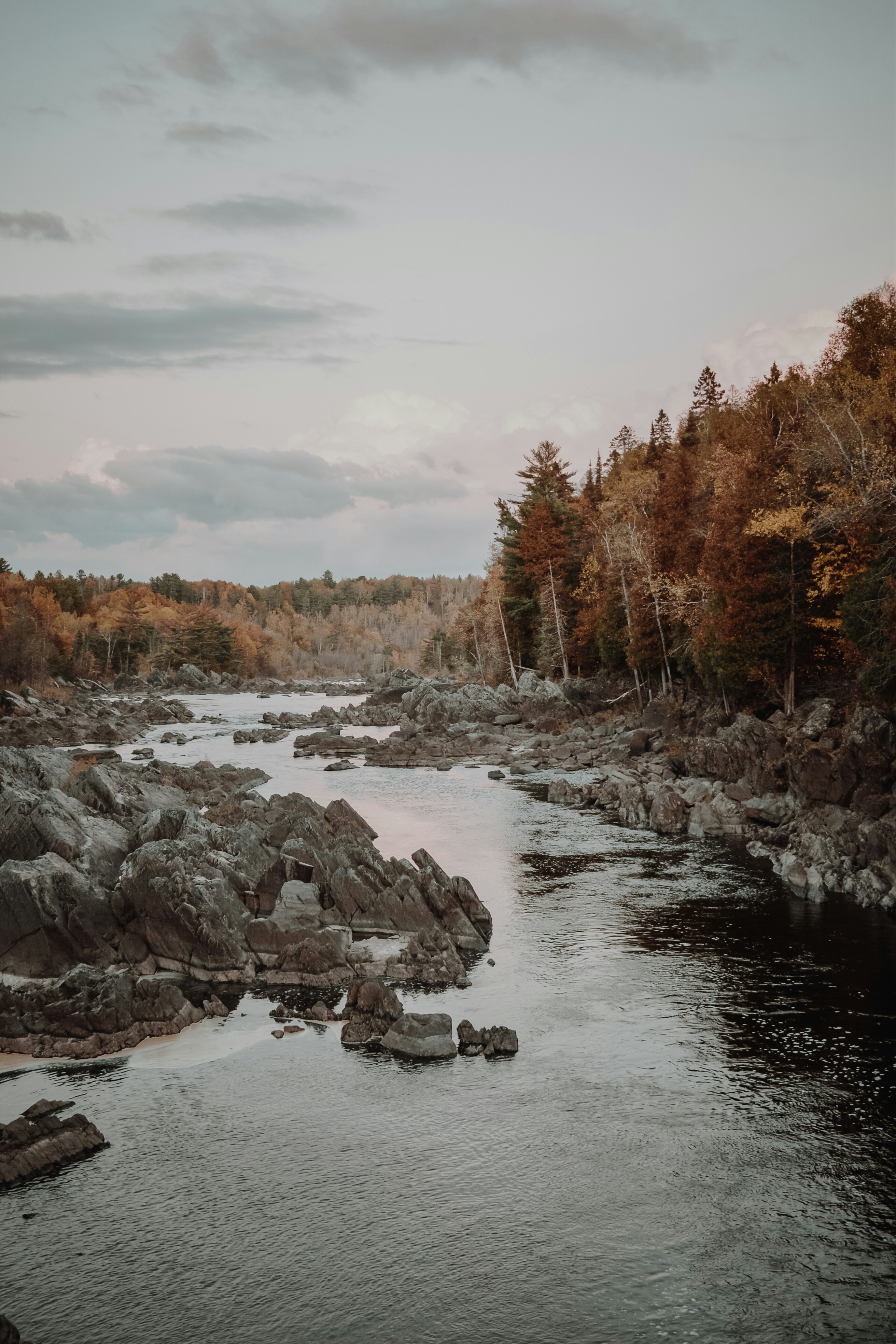 Autumn afternoon over Jay Cooke State Park river in Minnesota | Rocky river flowing through autumn forest landscape