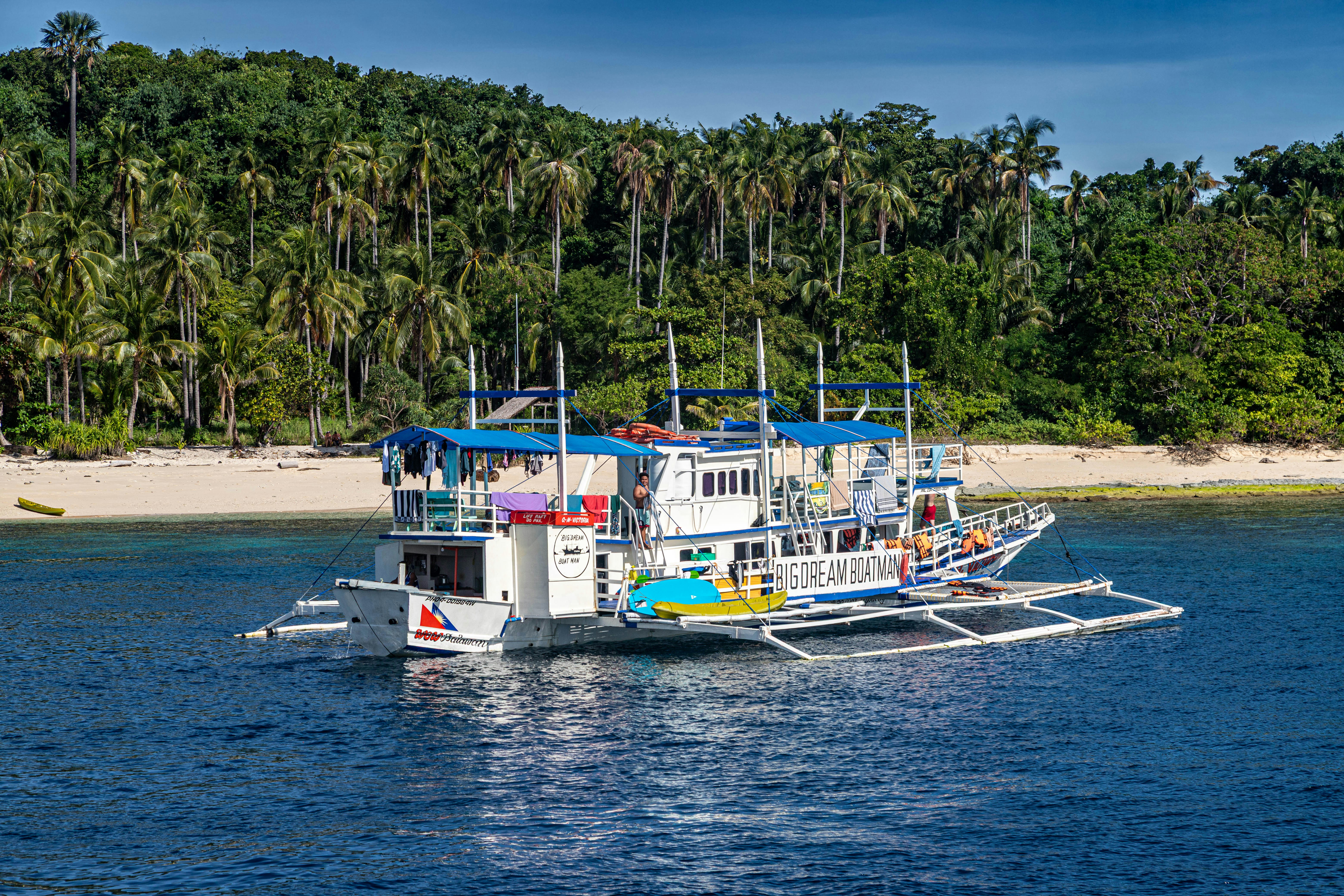 Twin-Deck Tour Boats Moored Off a Palm-Fringed Tropical Shore