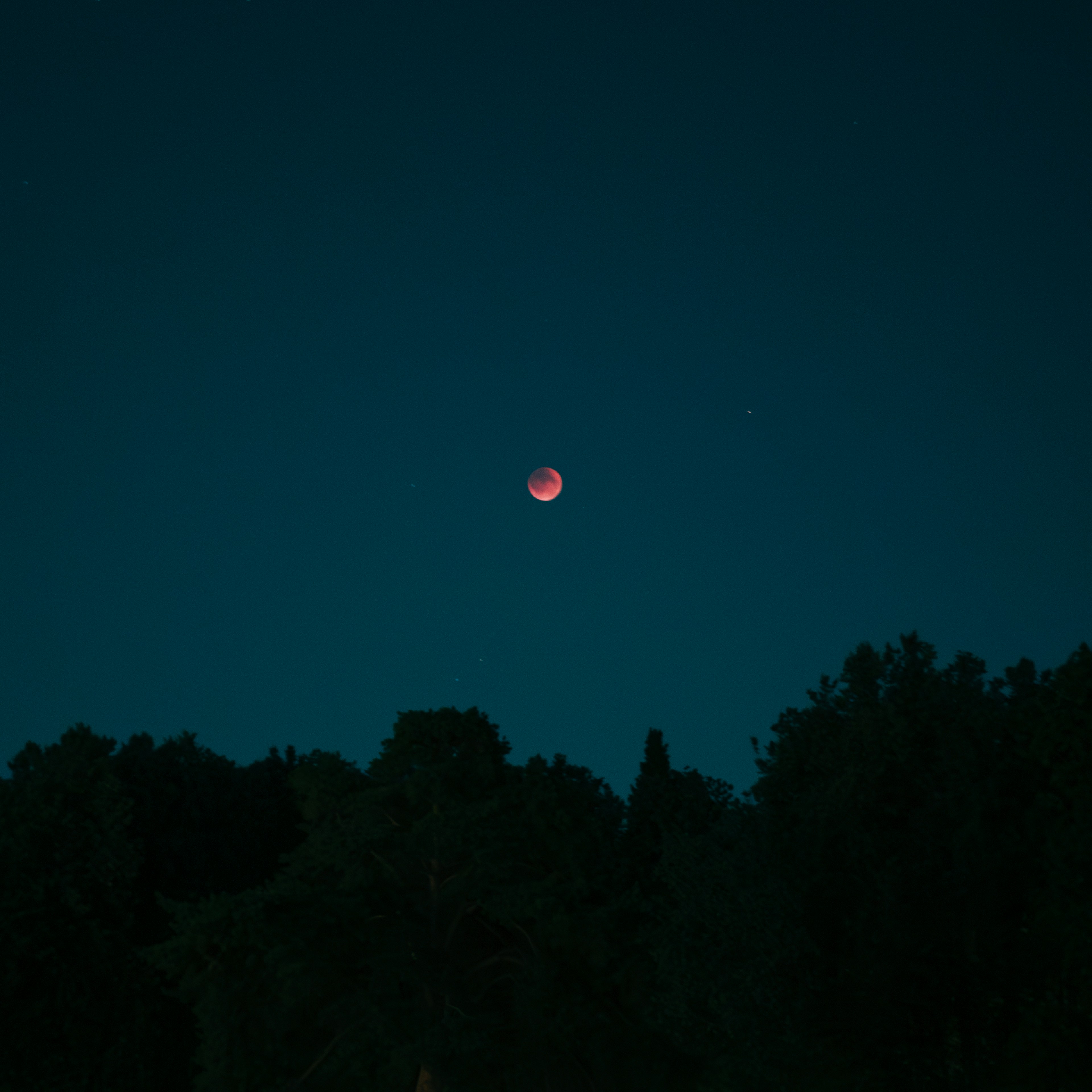 Lunar Veil: A Celestial Dance