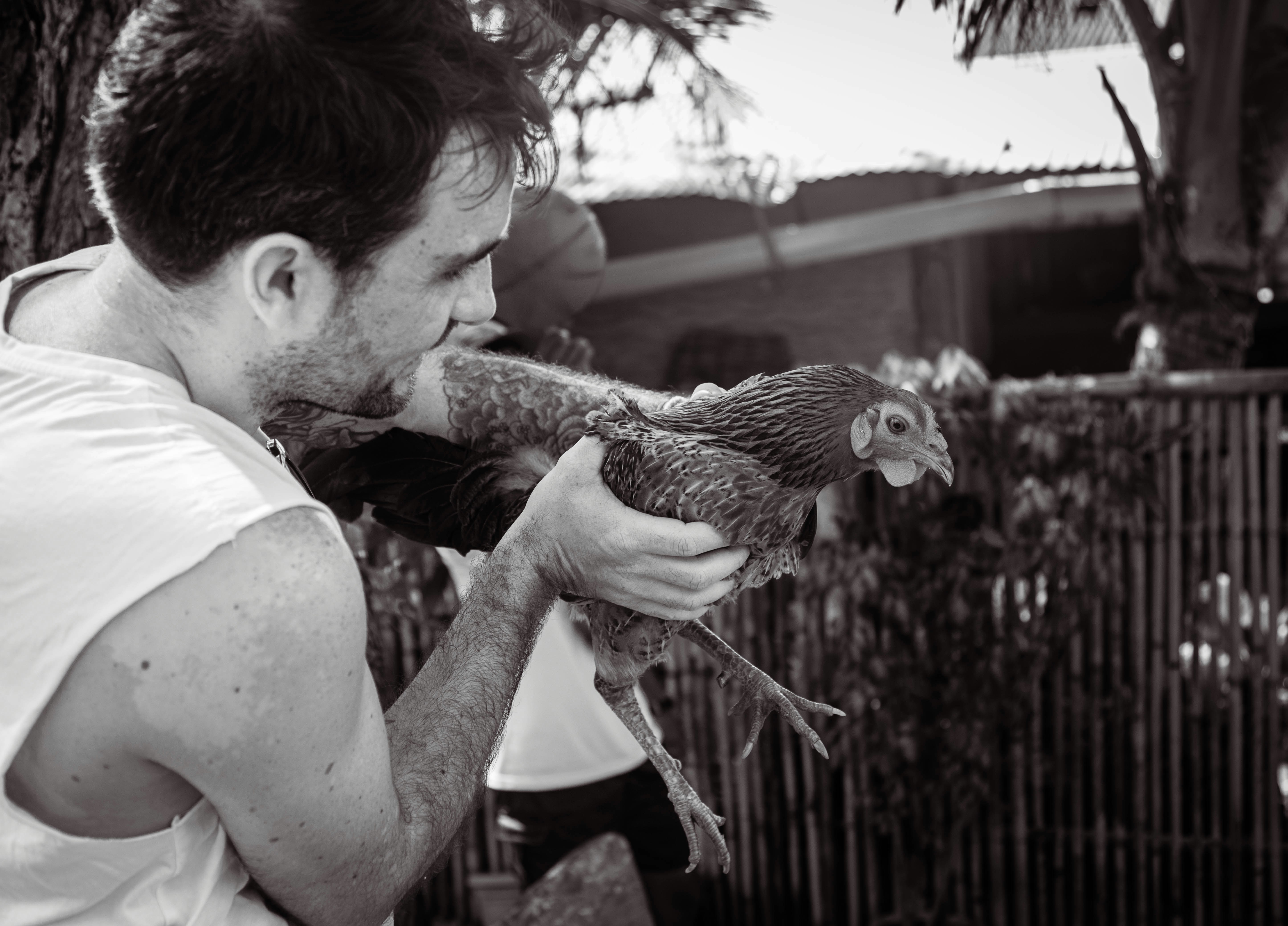 Man holding a chicken outdoors in black and white.