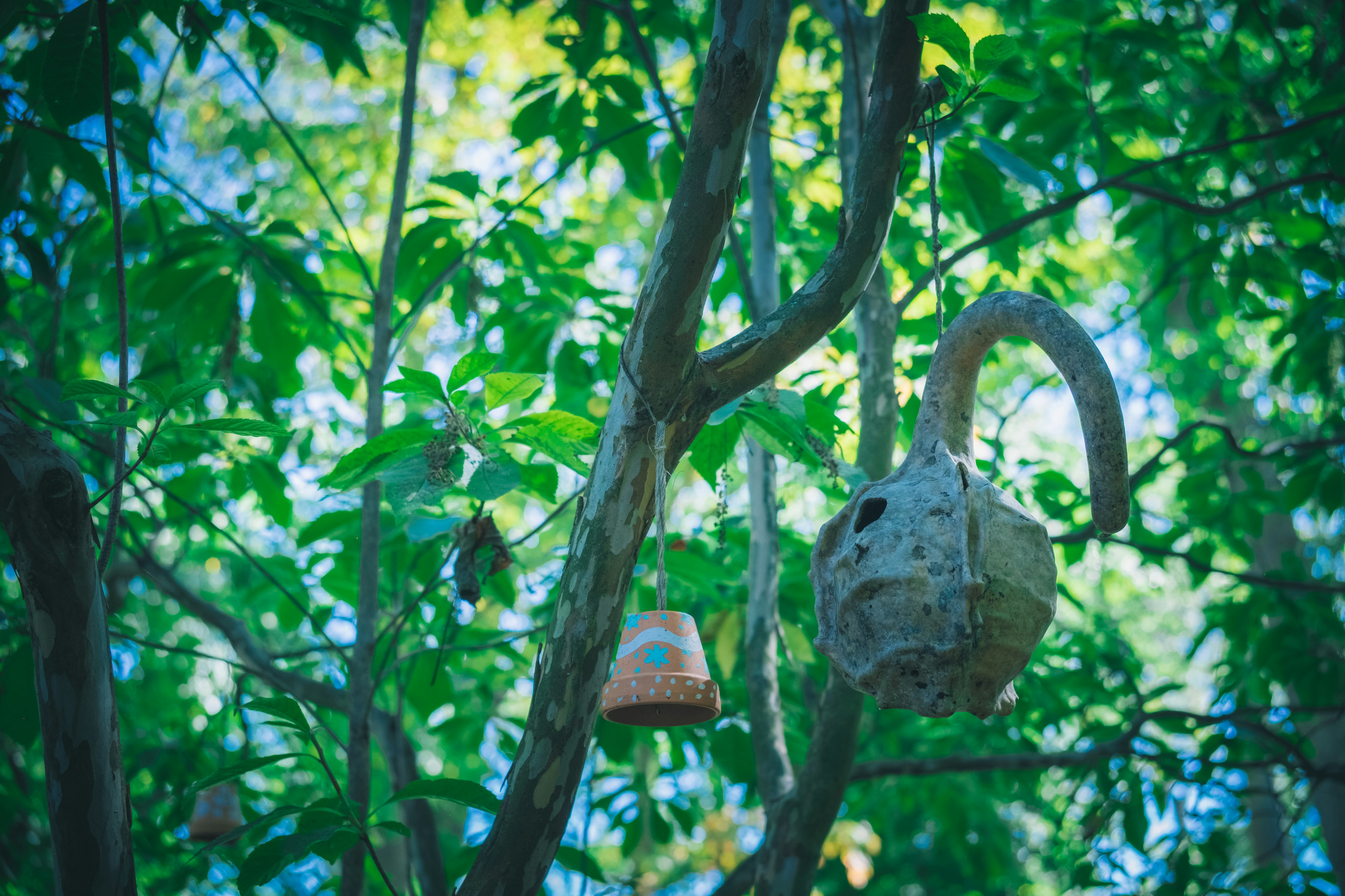 Gourd decorations hanging from tree branches