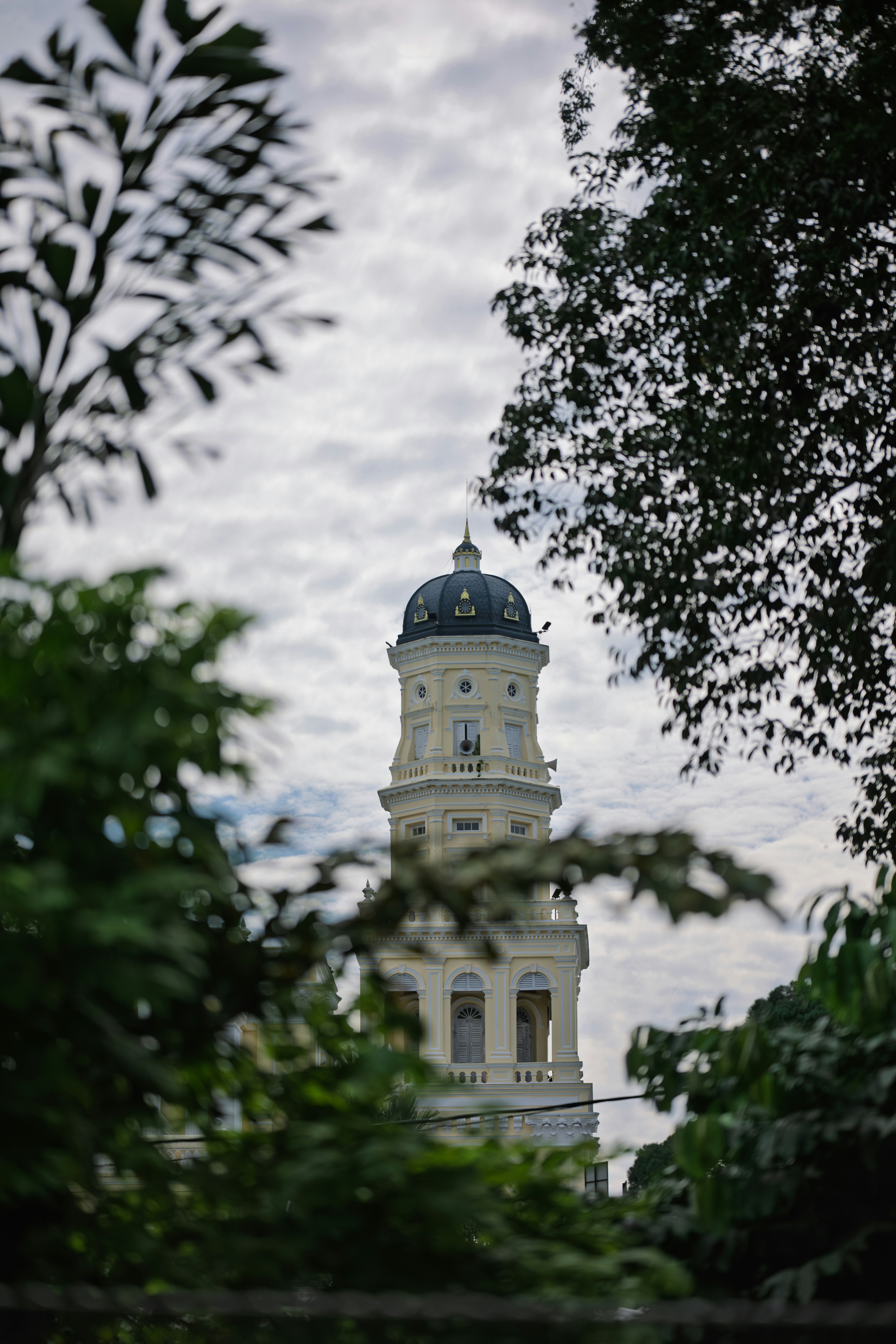 Whispers of Time: A Tower Through the Green Veil