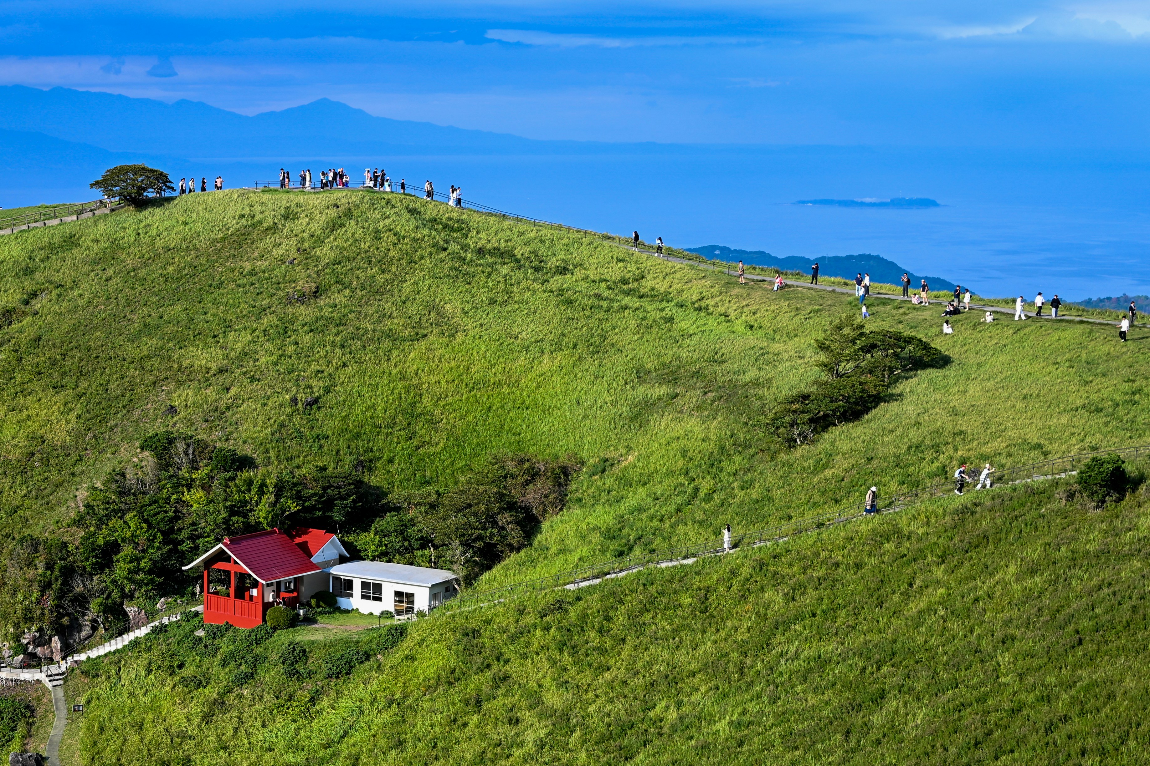 Verdant Vistas: A Gathering on the Hillside