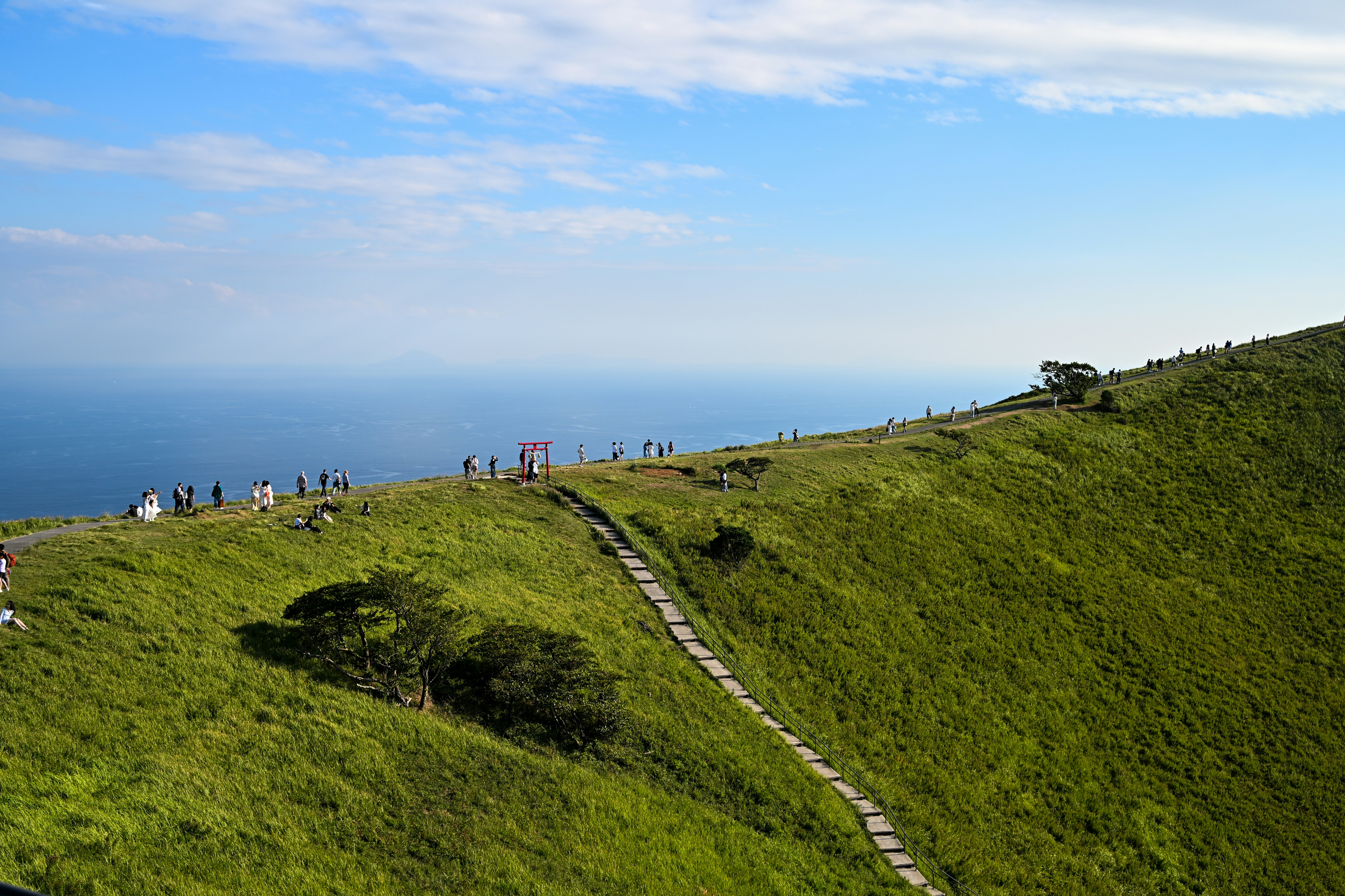 Coastal Ridge Walk: A Gentle Line Between Grass and Sea