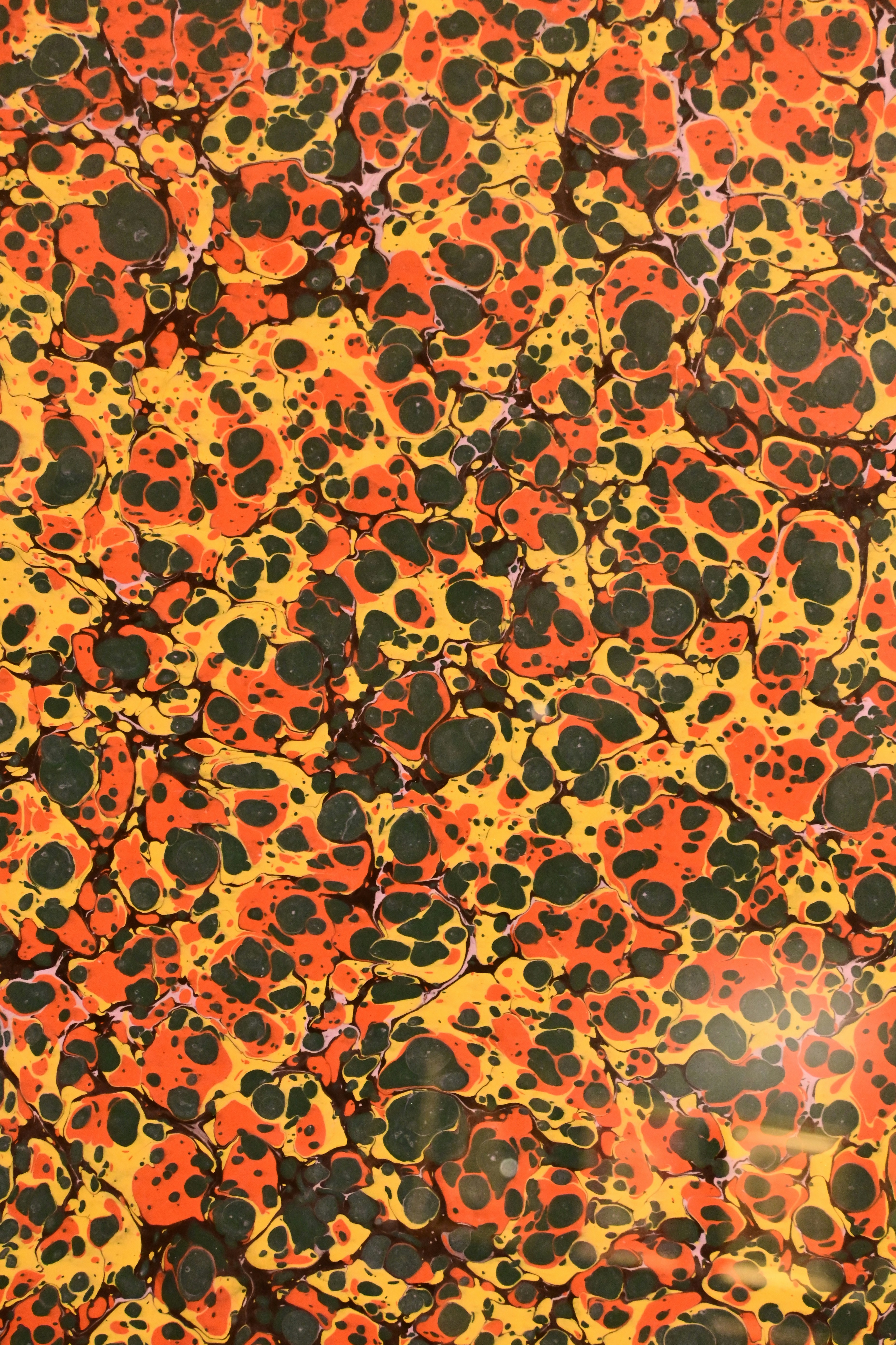 Vibrant Chaos: The Dance of Color and Form