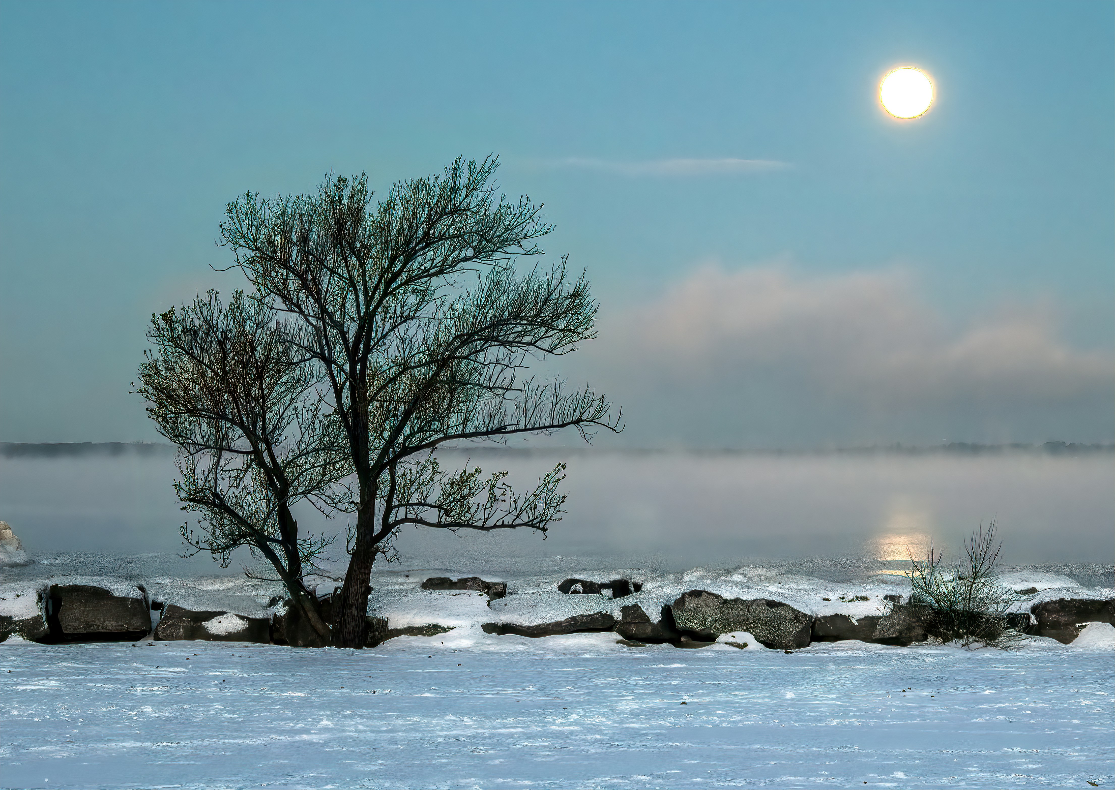 Moonlit Solitude: A Winter's Embrace